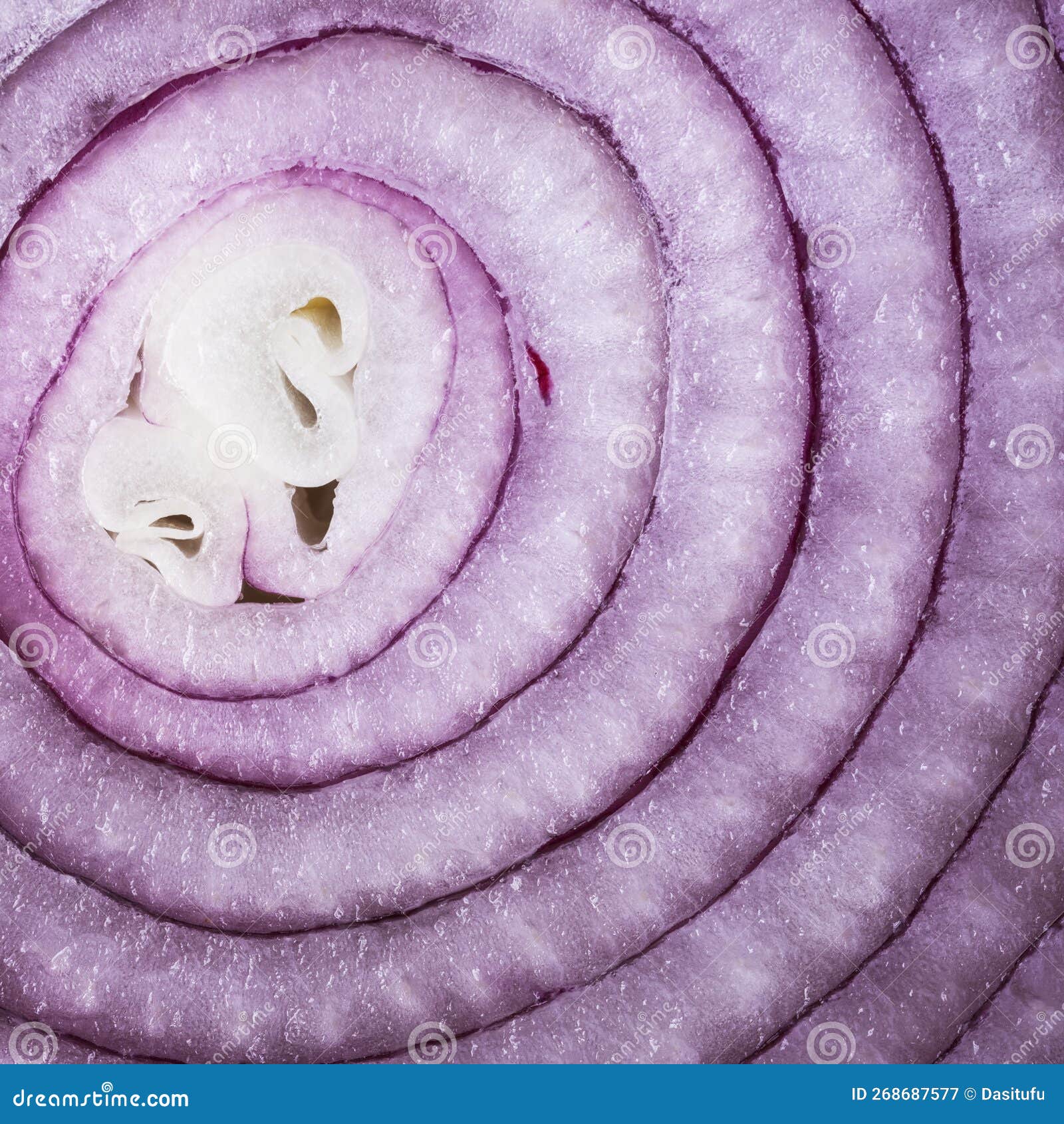 Onion Section Micro Close Up Stock Image - Image of design, layered ...