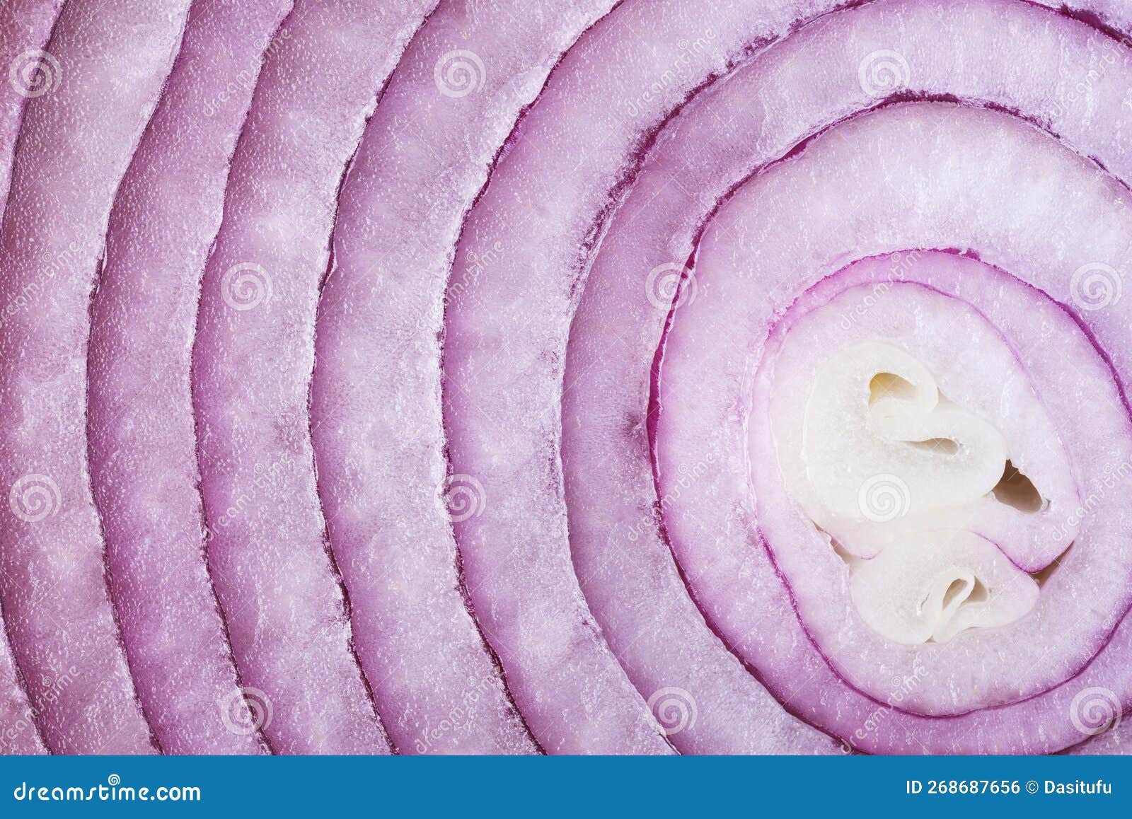 Onion Section Micro Close Up Stock Photo - Image of background, texture ...