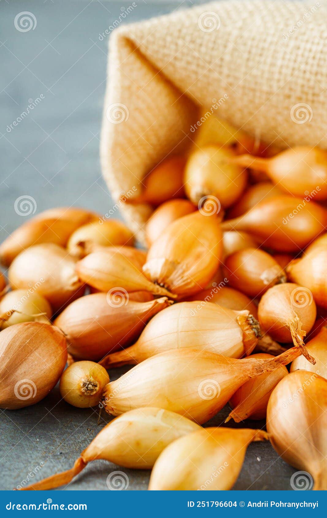 Onion Seeds on a Gray Stone Background Stock Photo - Image of fresh ...
