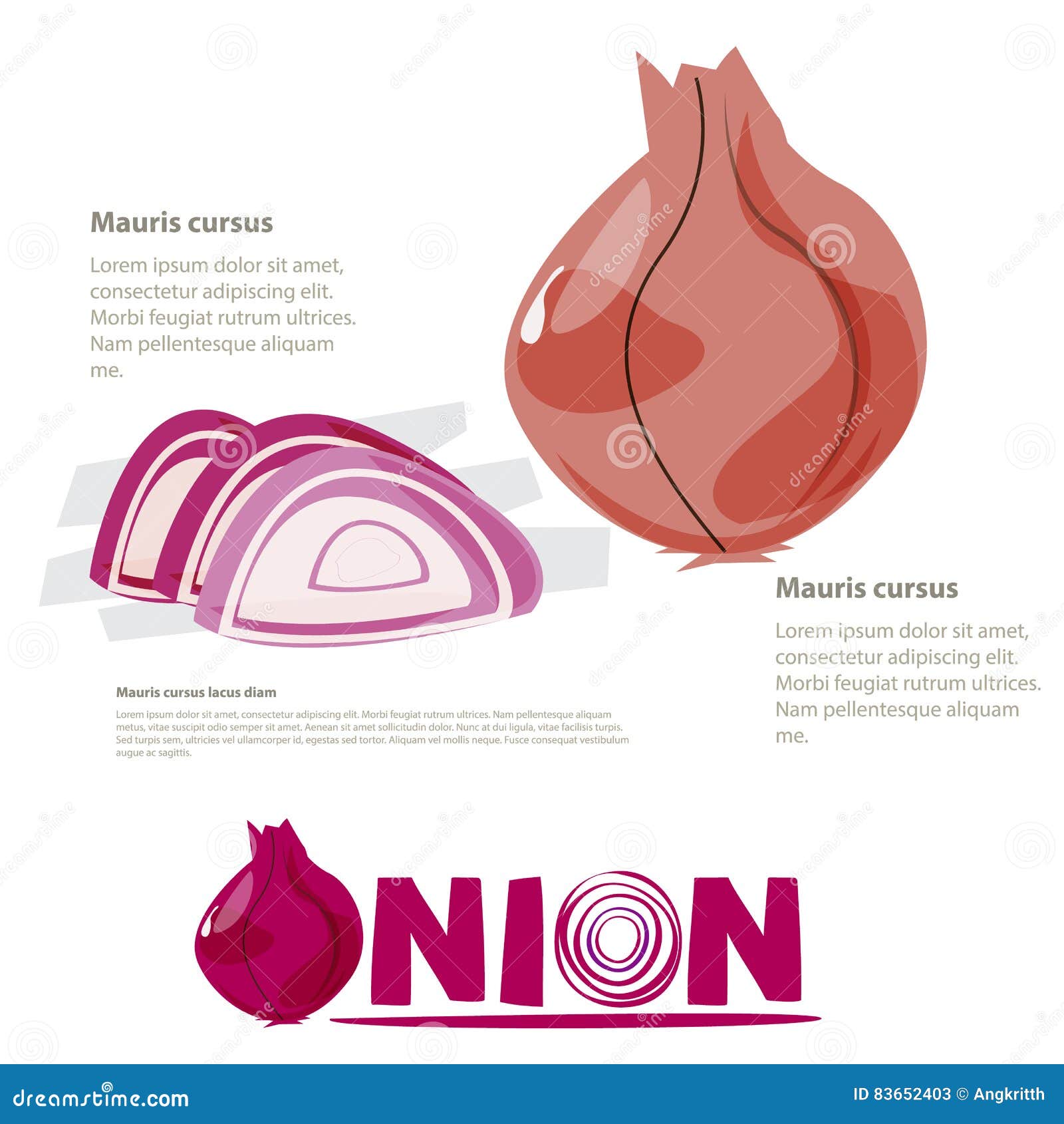 Onion Set. Infographic - Illustration Stock Illustration - Illustration ...