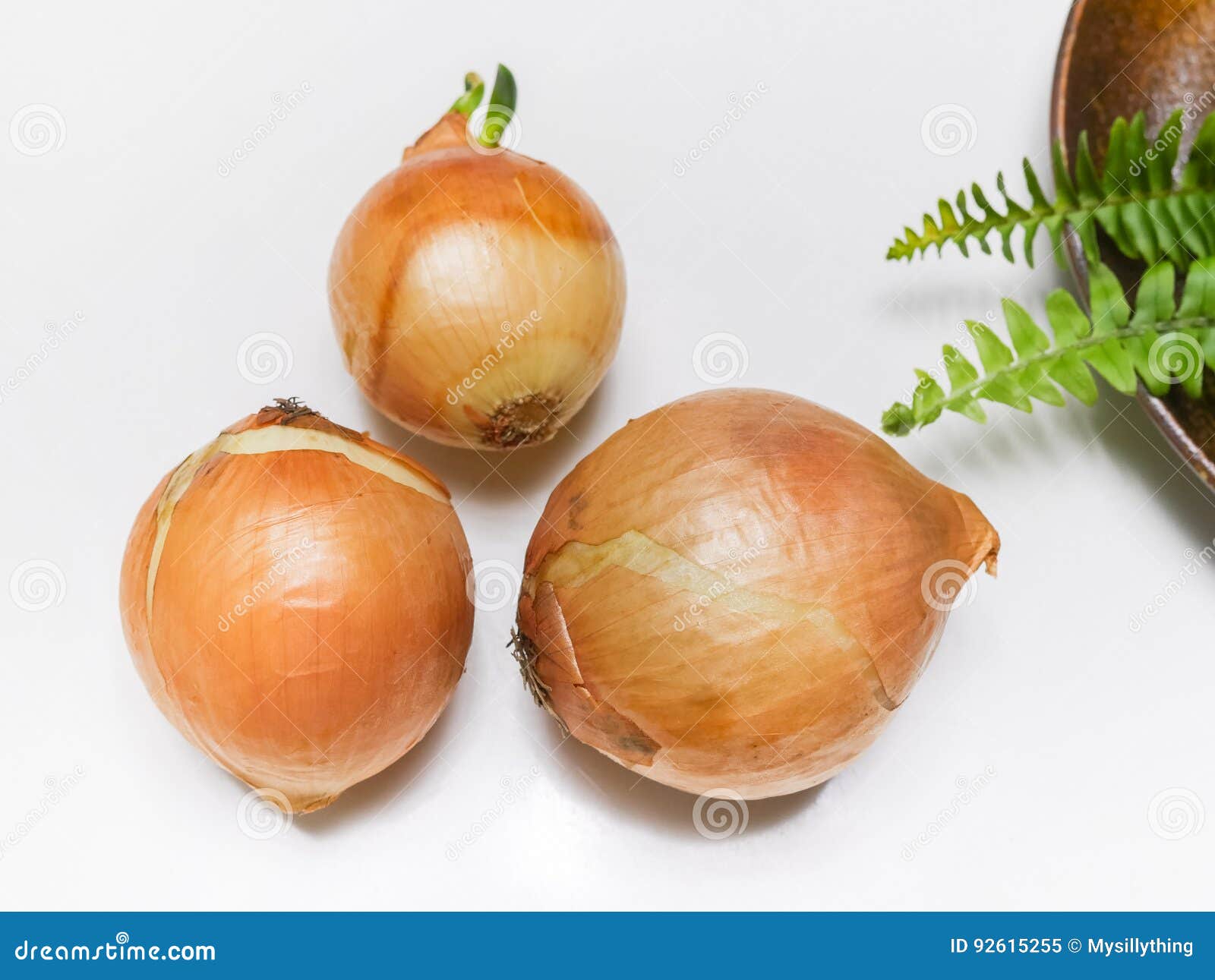 Onion set on white table stock image. Image of cooking - 92615255