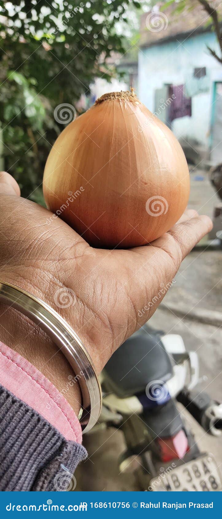 Onion stock photo. Image of grams, size, onion, weight - 168610756