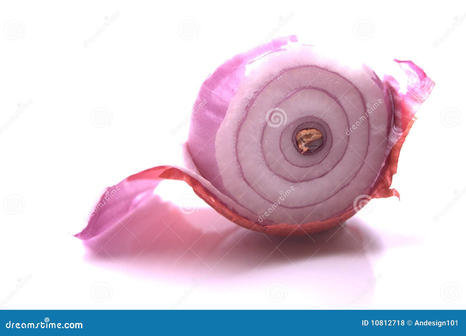 Onion Skin Royalty-Free Stock Photography | CartoonDealer.com #27094733