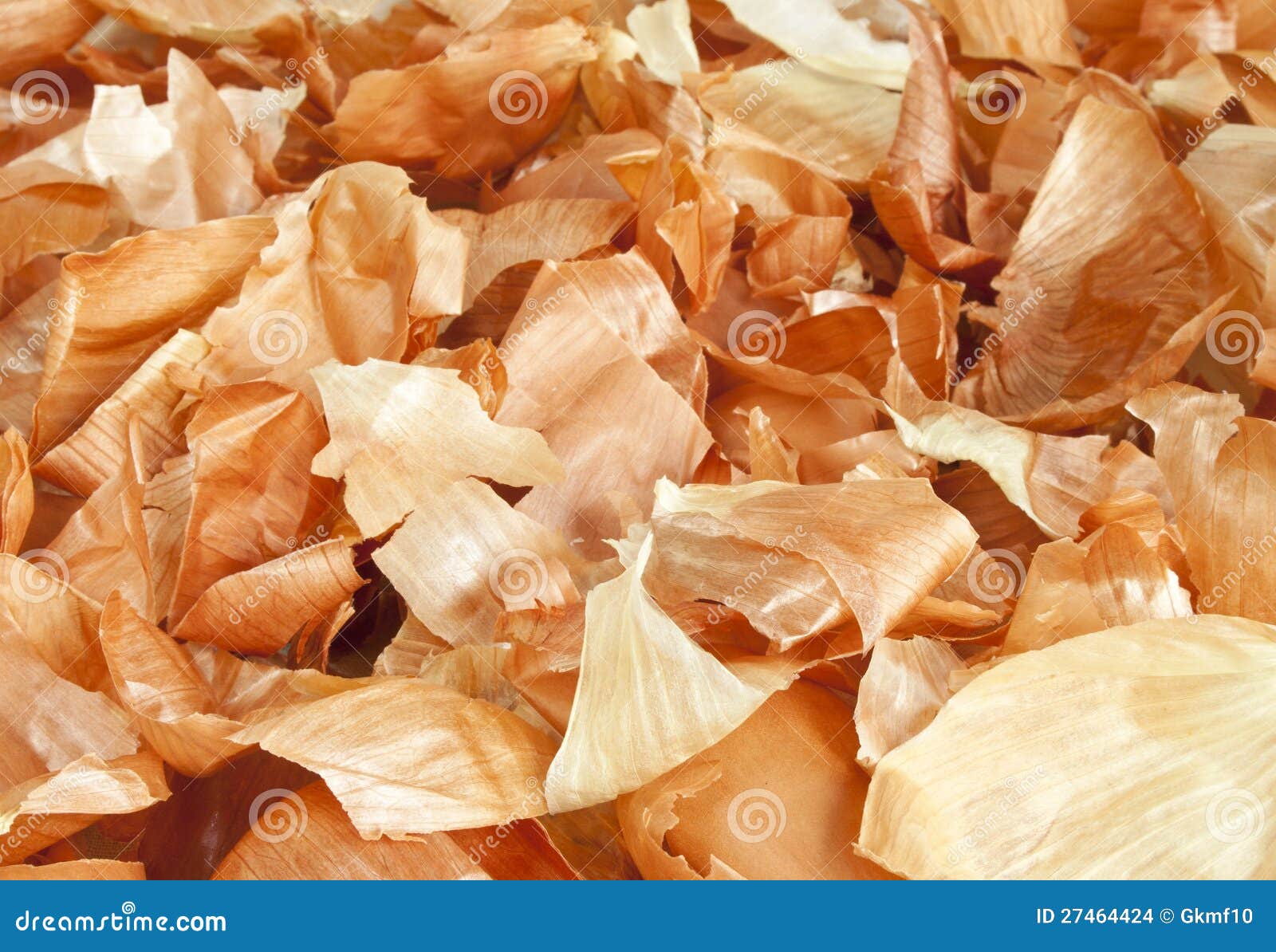 Onion skin stock photo. Image of botanical, surface, natural - 27464424