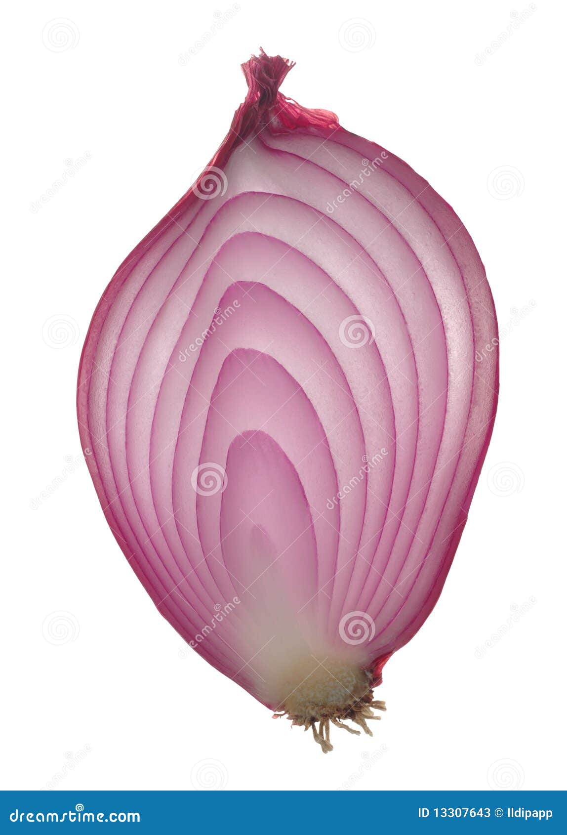 Onion Slice stock image. Image of peel, ring, white, pattern - 13307643
