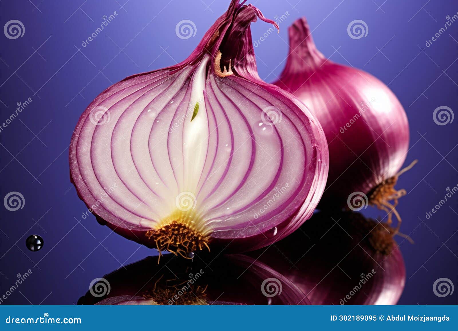 Onion Slice Layers on Reflective Backdrop Create a Visually Vibrant ...