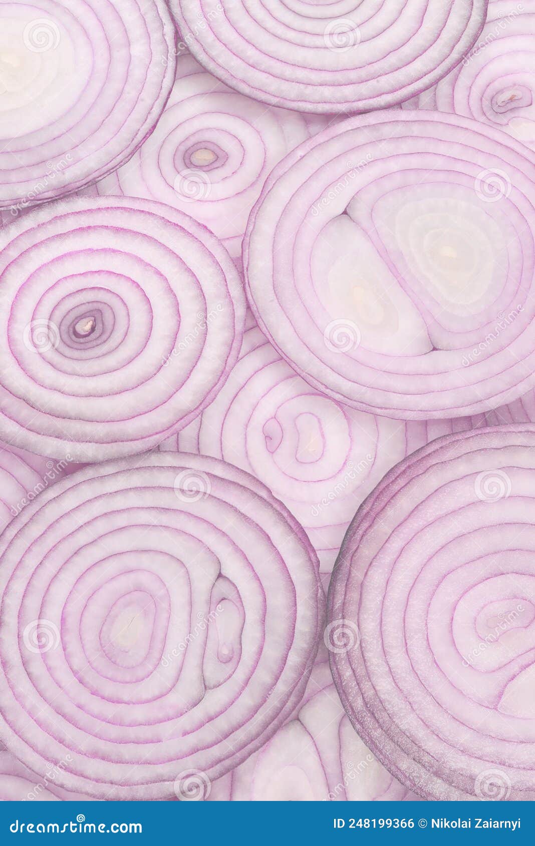 Onion Slices As a Background. Top View Stock Photo - Image of root ...