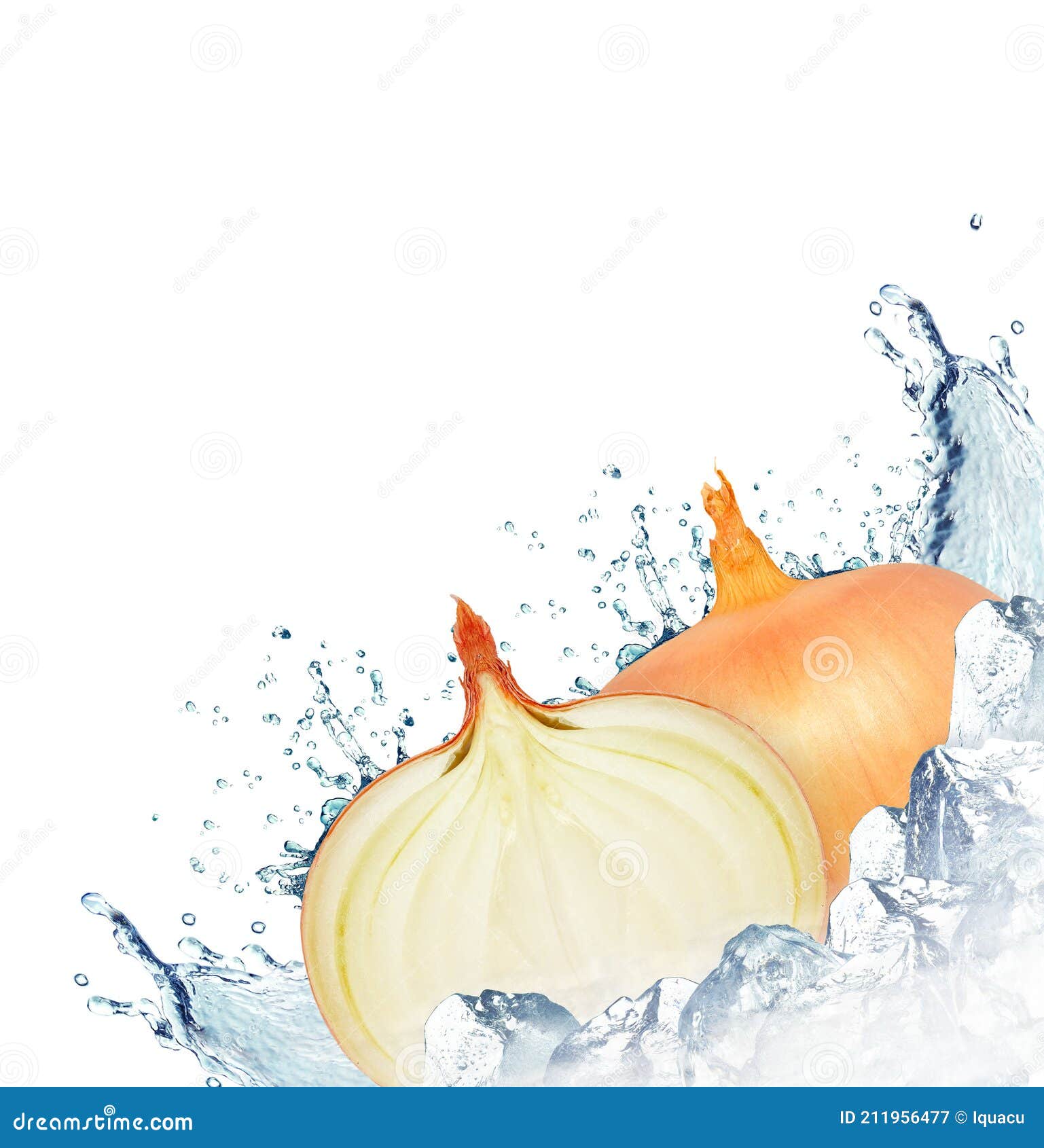 Onion splash stock image. Image of food, tree, sweet - 211956477