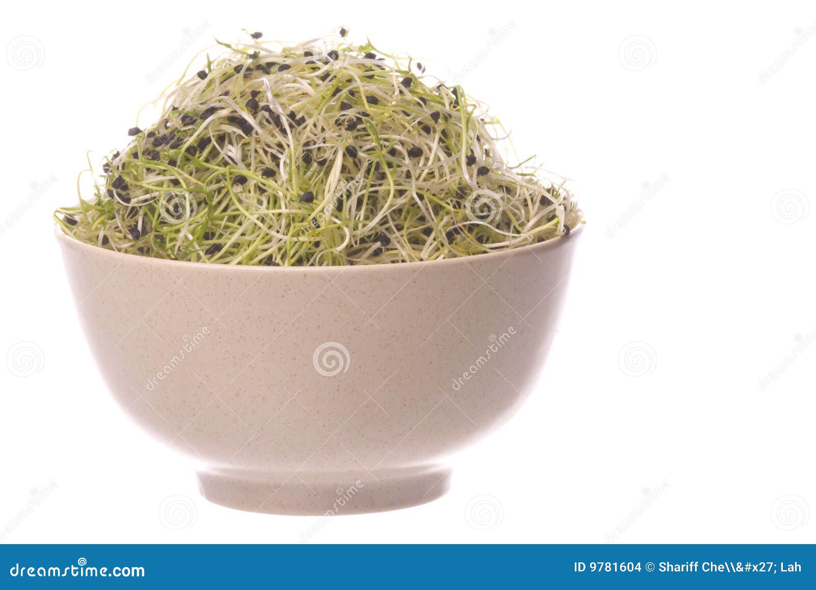 Onion Sprouts in Bowl Isolated Stock Photo - Image of closeup, produce ...
