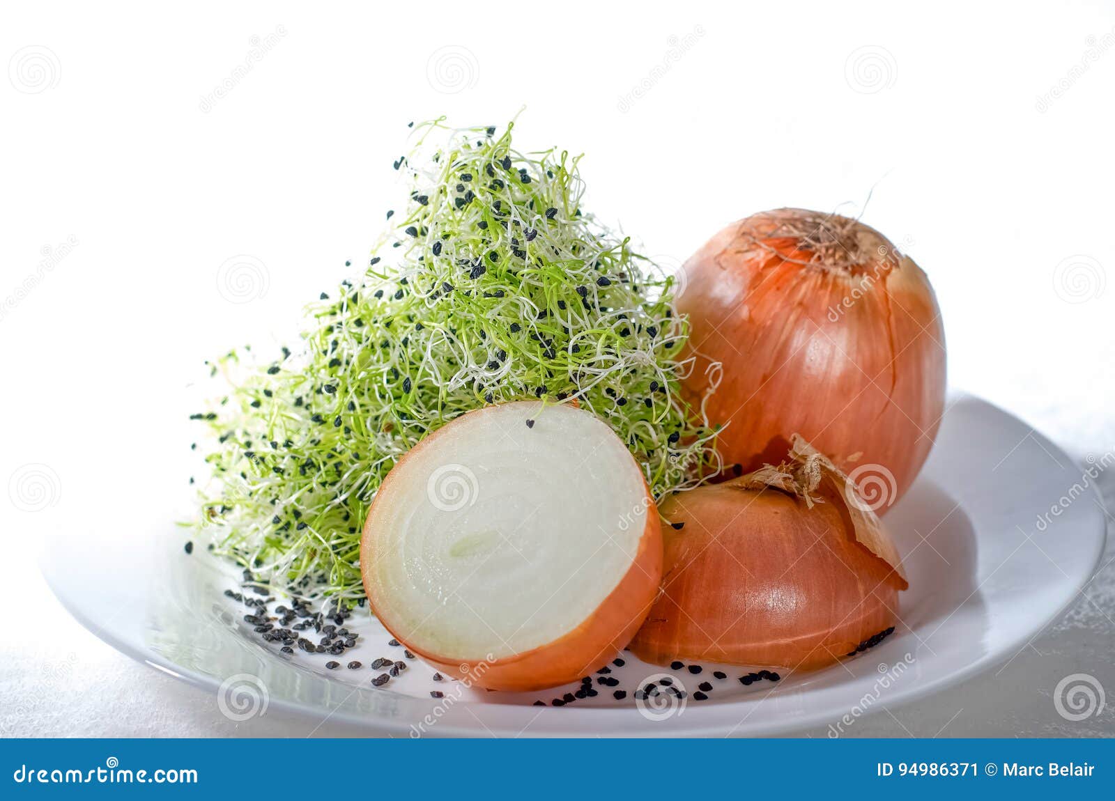 Onion sprouts stock image. Image of cultivation, germ - 94986371