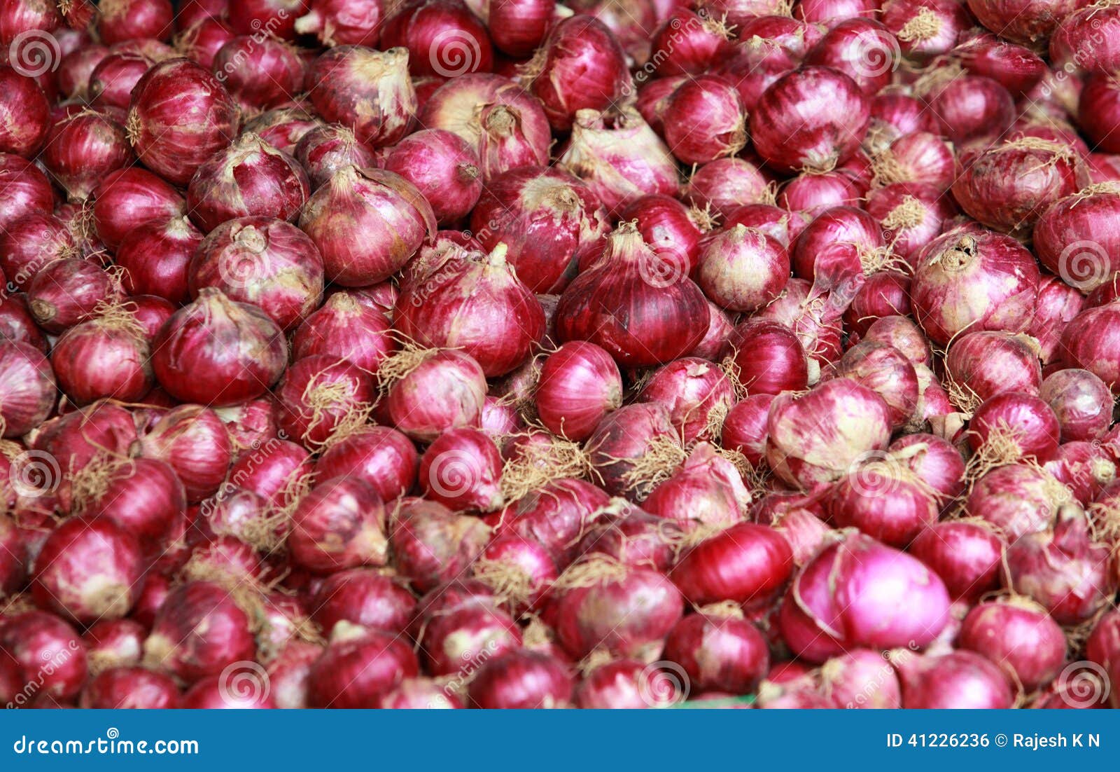 Onion stock photo. Image of peel, harvest, basket, ripe - 41226236