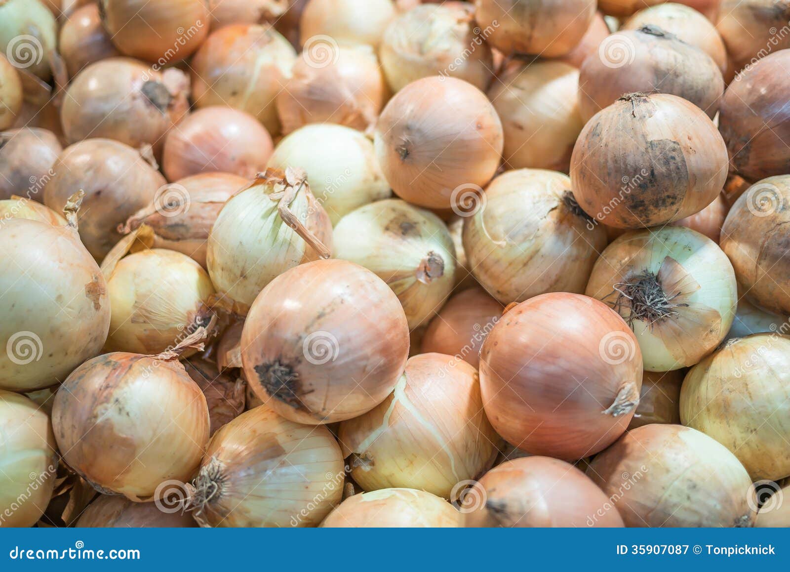 Onion stack stock image. Image of food, macro, fall, cook - 35907087