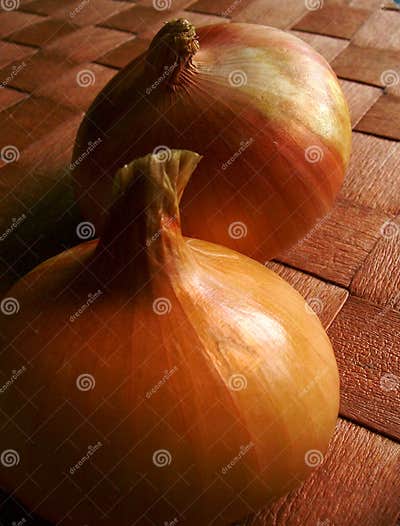 Onion study 3 stock image. Image of isolated, food, agriculture - 196733