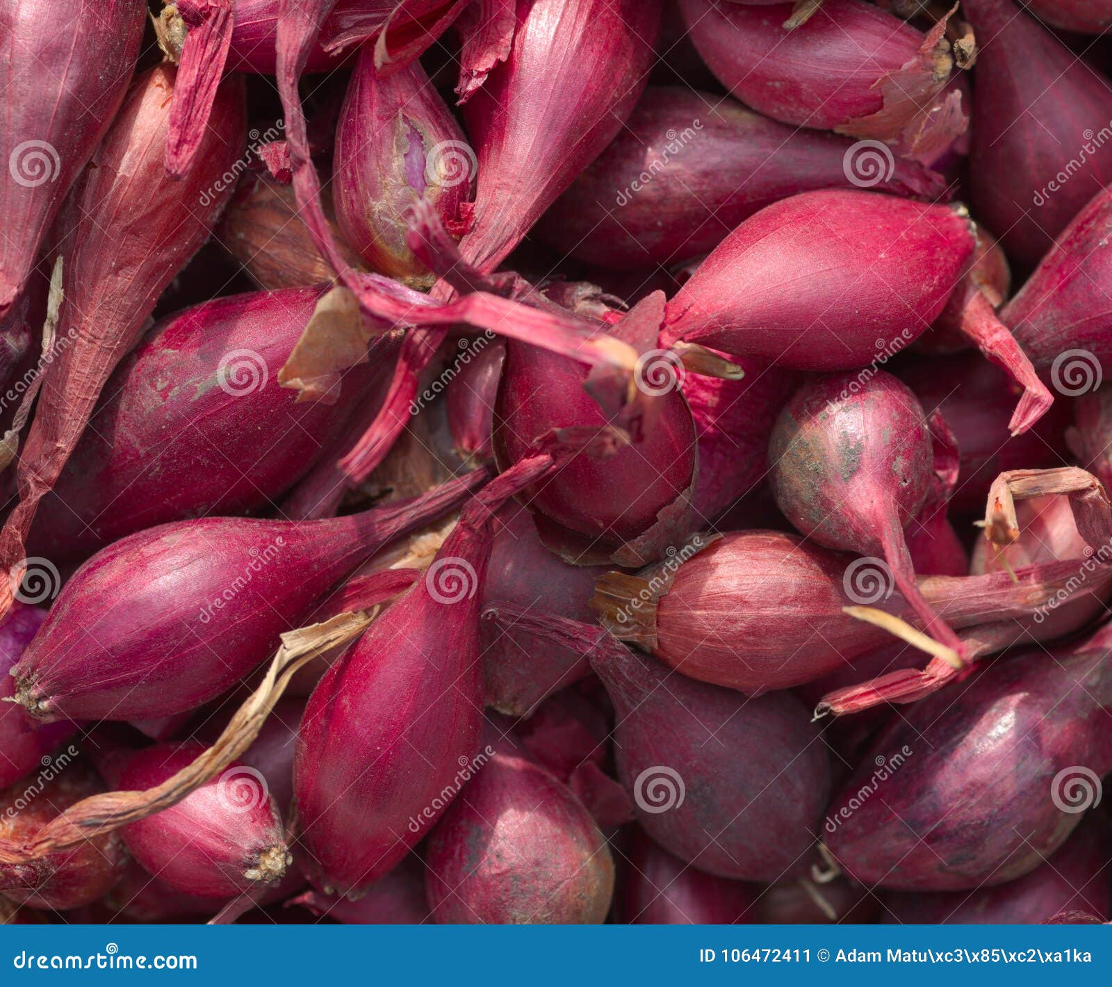 Onion texture stock image. Image of health, bulbous - 106472411