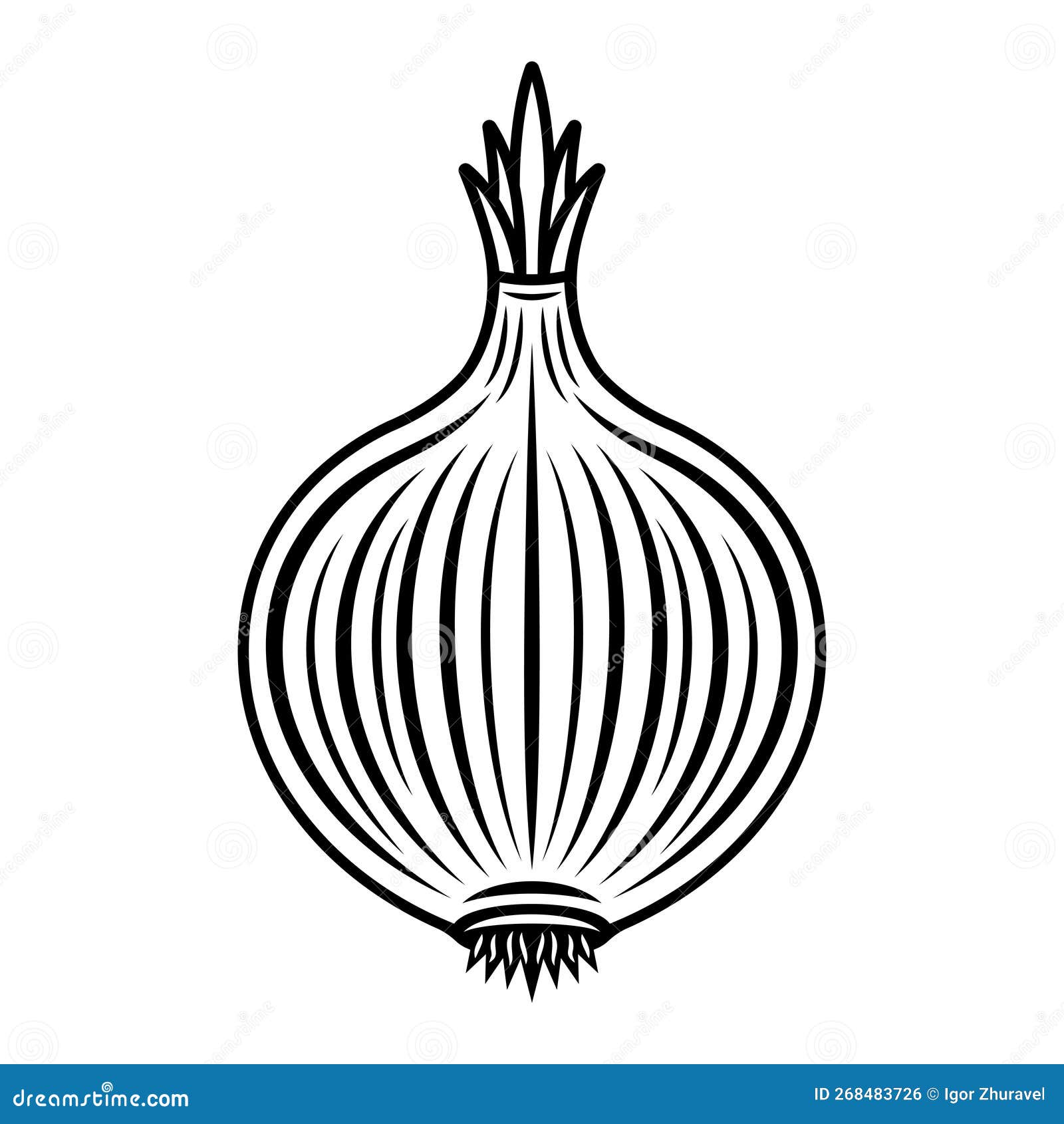 Onion Vector Black Monochrome Graphic Object or Design Element in ...