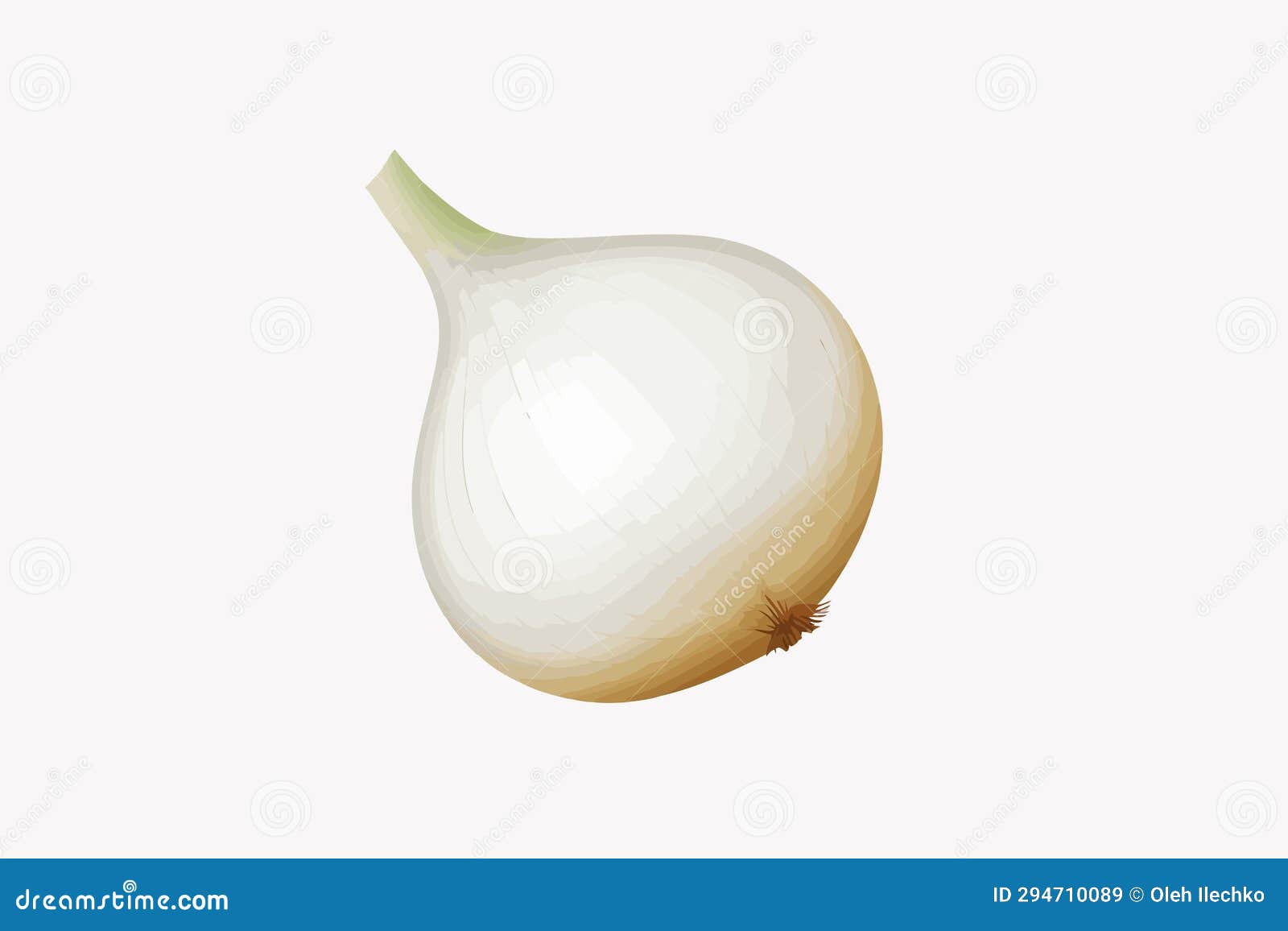 Onion Vector Flat Minimalistic Asset Isolated Vector Style Illustration ...