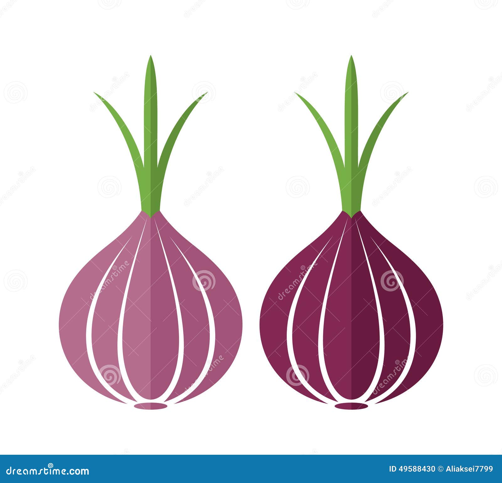 Onion stock vector. Illustration of blue, green, sign - 49588430