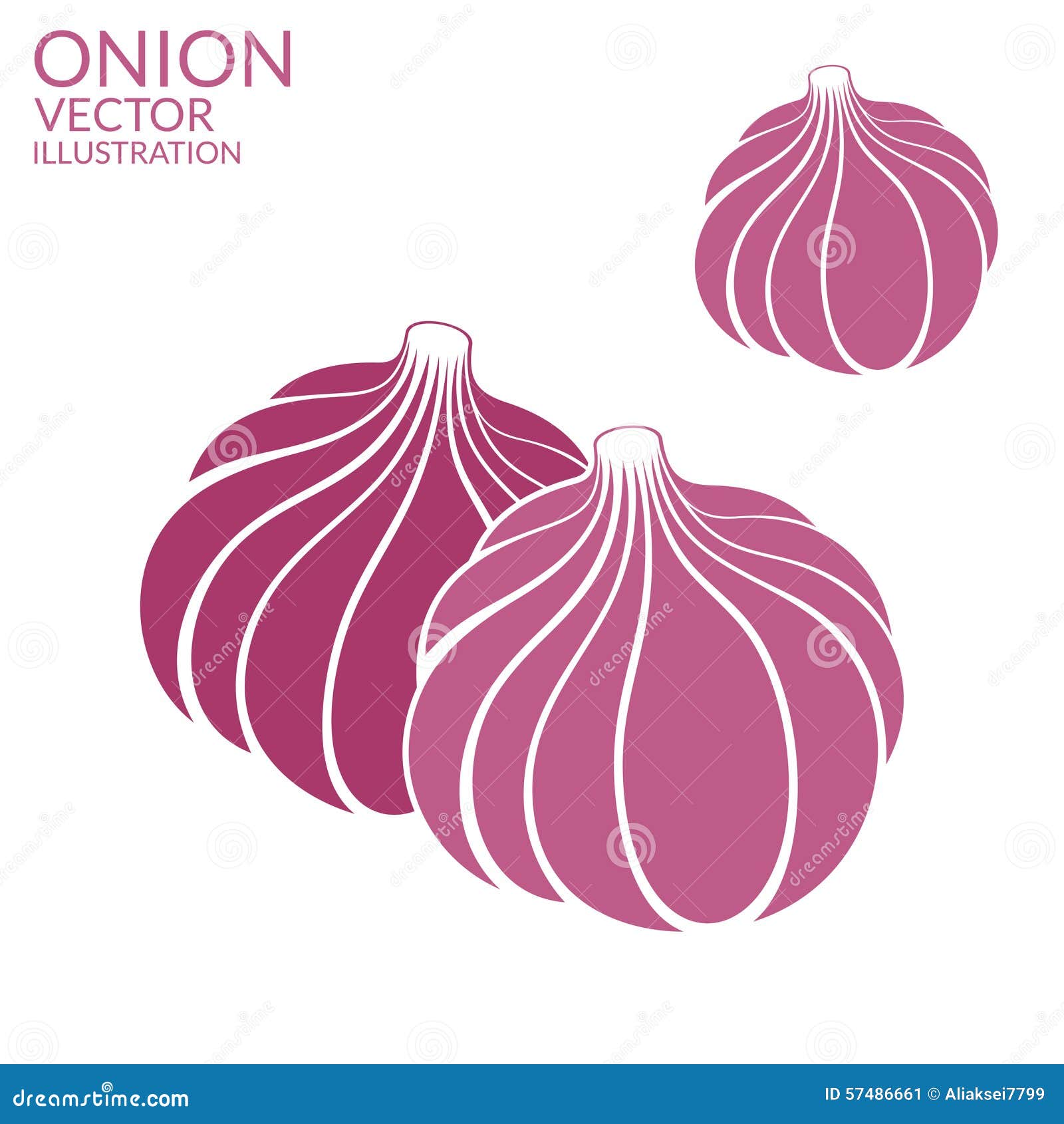 Onion stock vector. Illustration of icon, green, isolated - 57486661