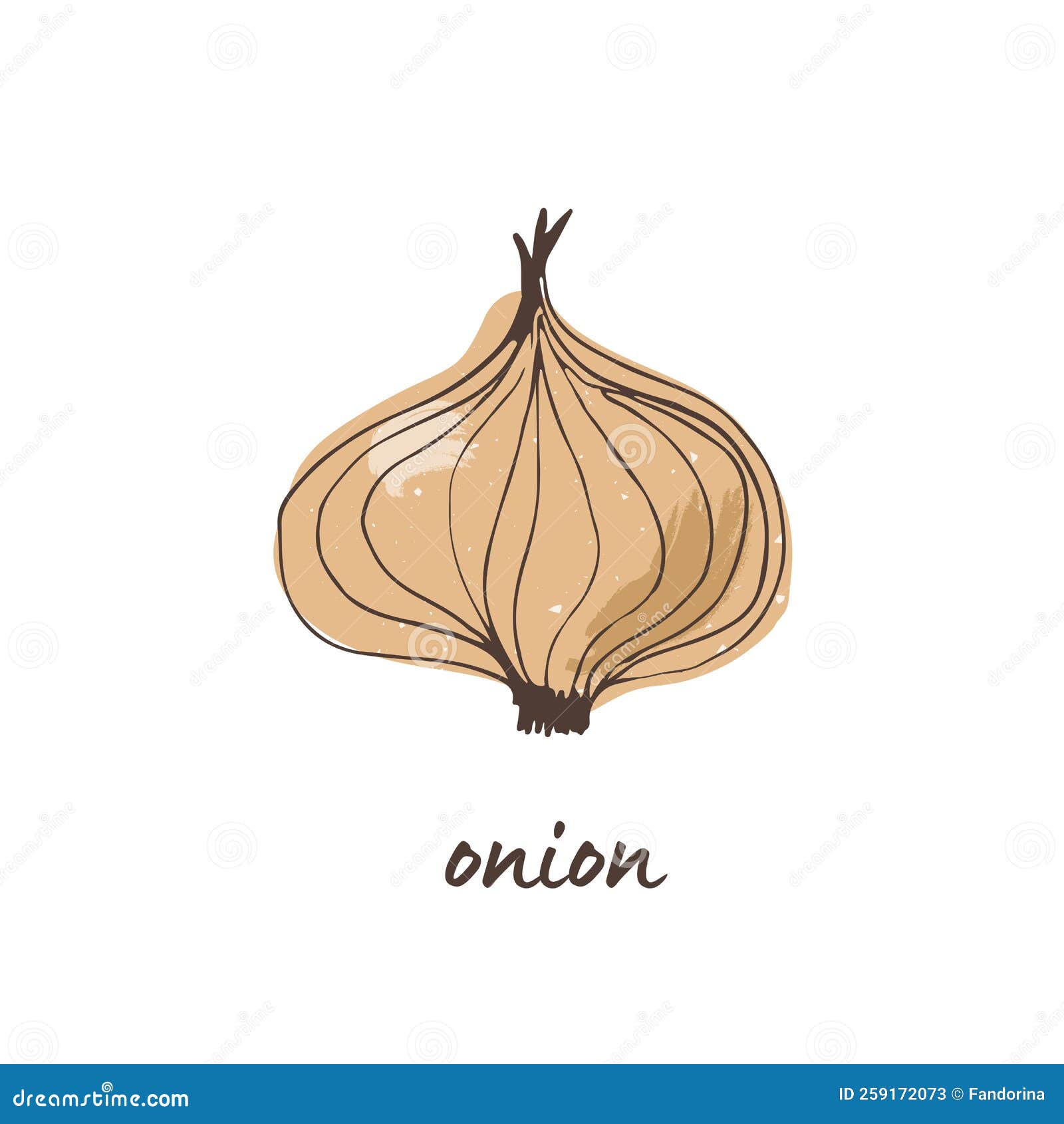 Onion. Vector Drawing | CartoonDealer.com #154527346
