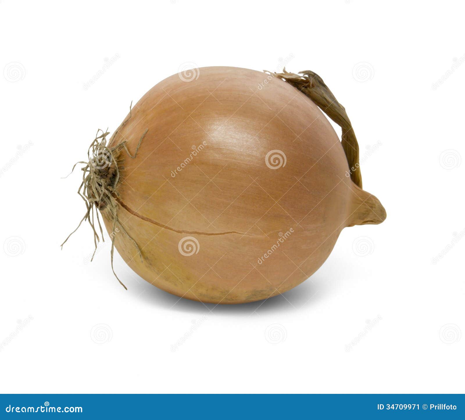 Onion stock image. Image of husbandry, natural, nature - 34709971