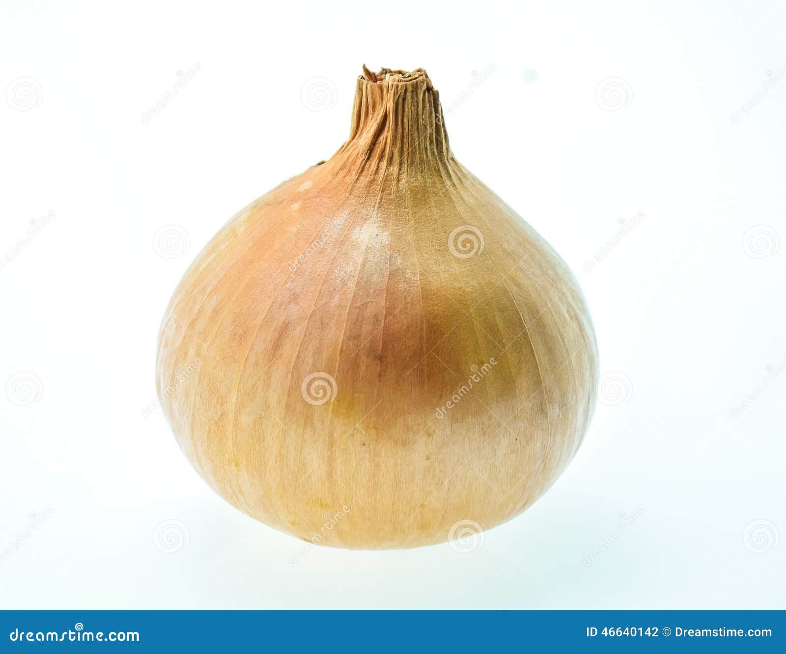Onion on a White Background Stock Photo - Image of grocery, leaves ...