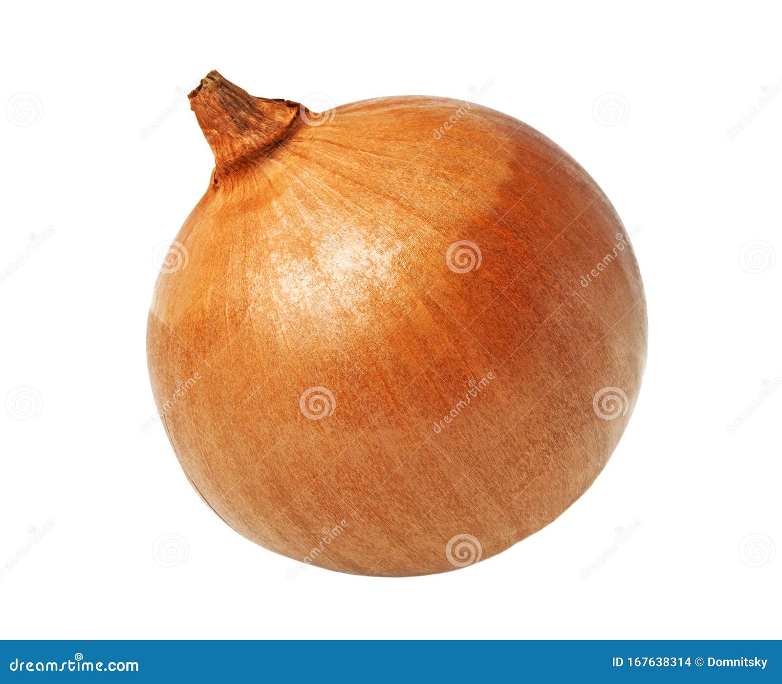 Onion on a White Background Stock Photo - Image of intact, seasoning ...