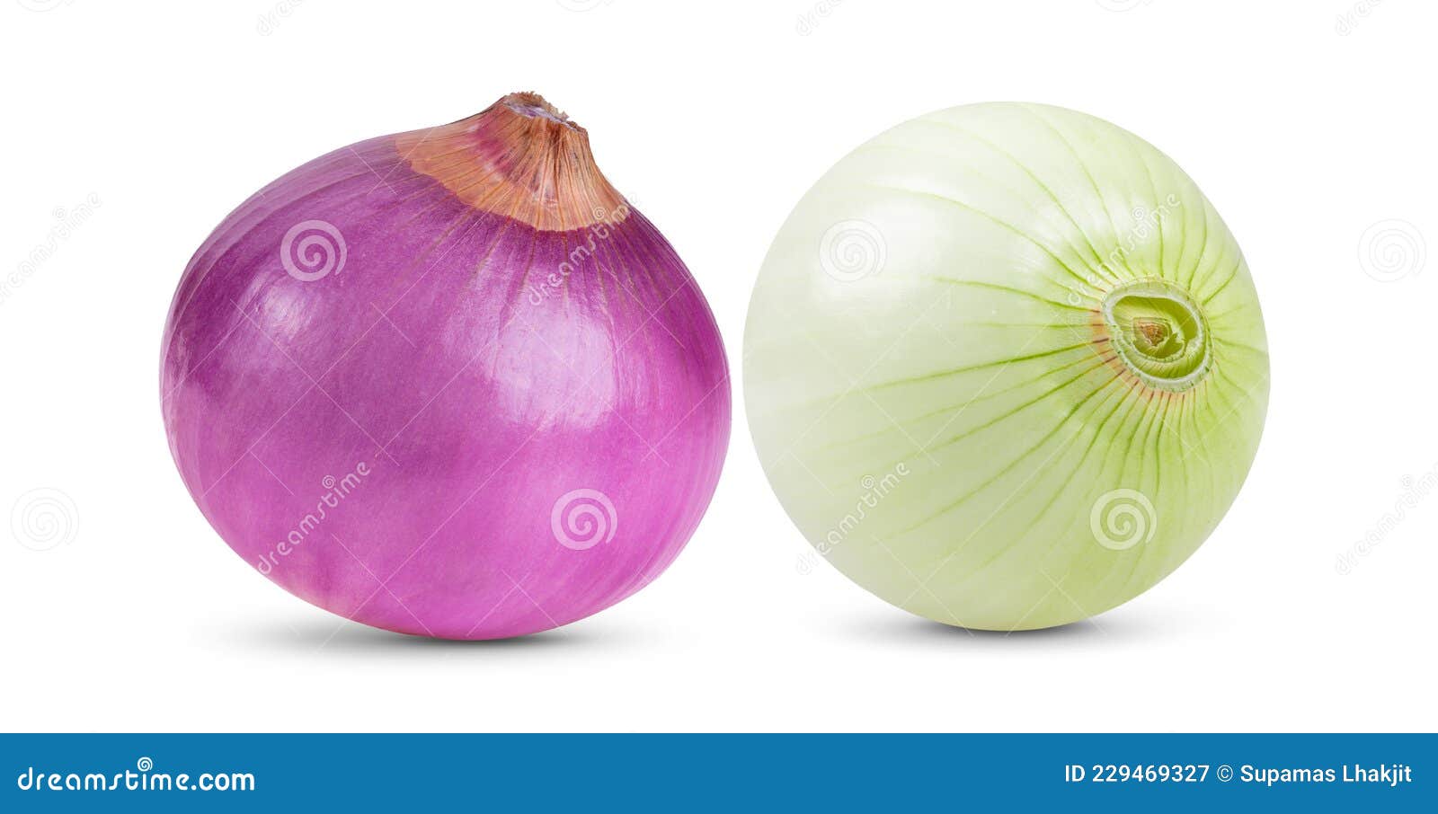 Onion on white background stock image. Image of organic - 229469327