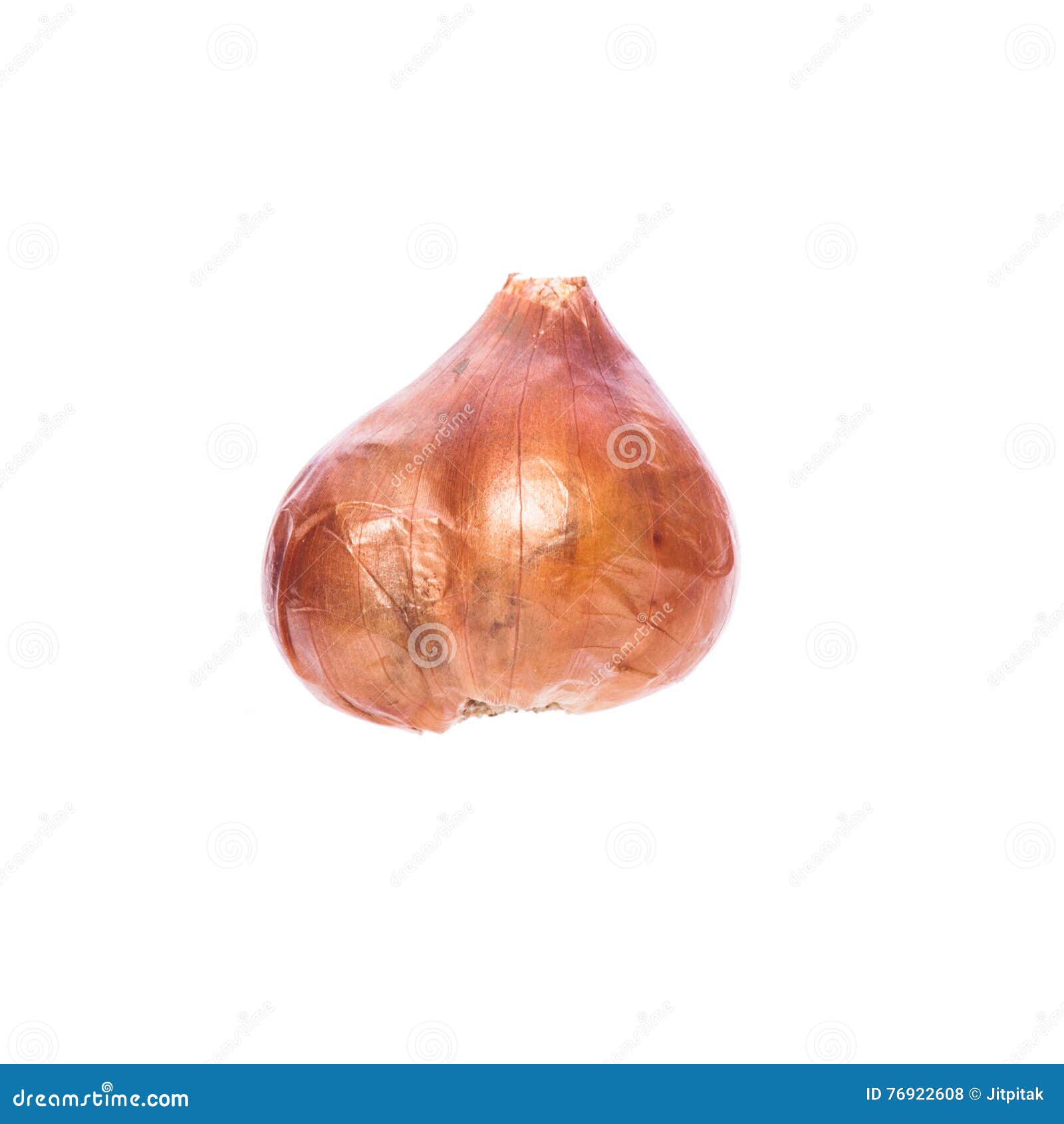 Onion on white background stock photo. Image of glossy - 76922608