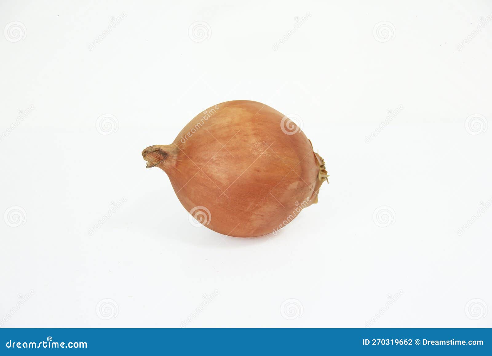 Onion on a White Background. Isolated Vegetable Stock Photo - Image of ...