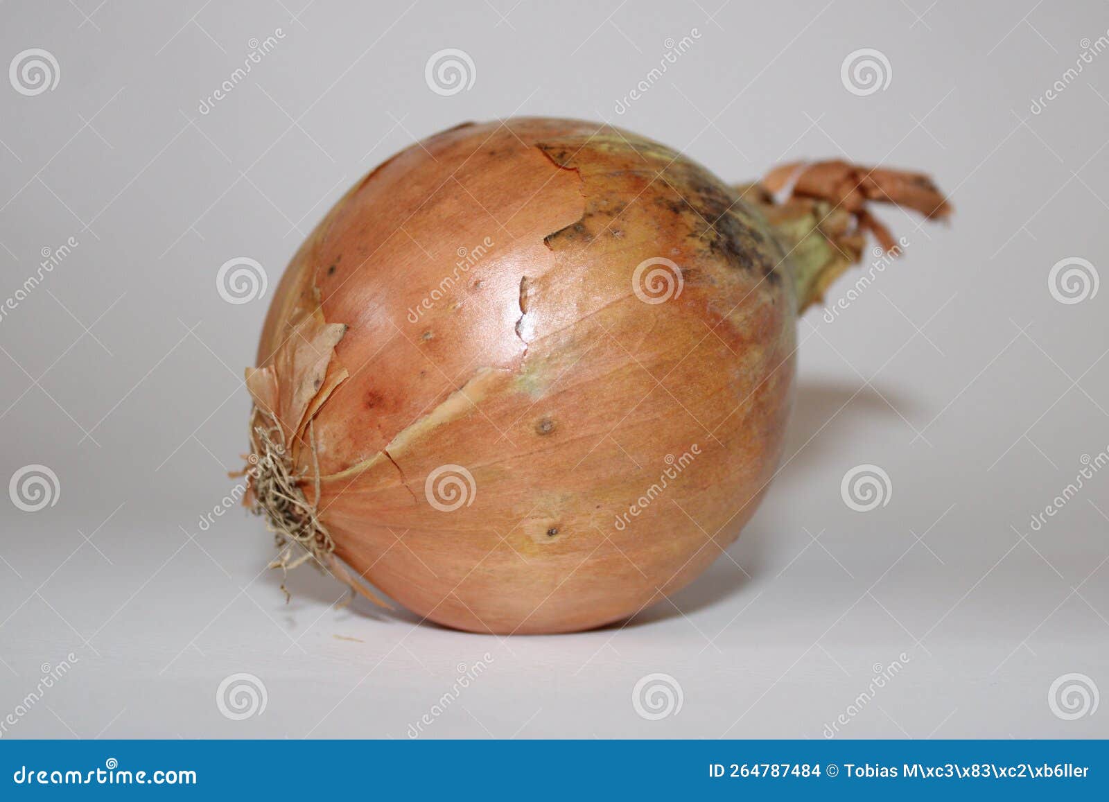 Onion on a White Background Stock Photo - Image of onion, healthy ...