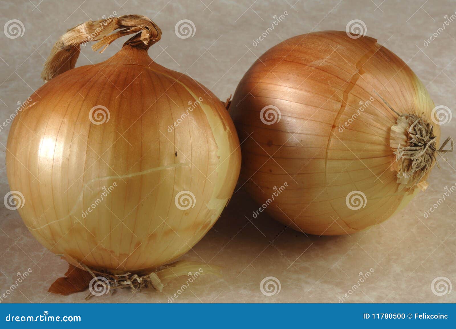 Onions stock photo. Image of fresh, spicy, tears, produce - 11780500