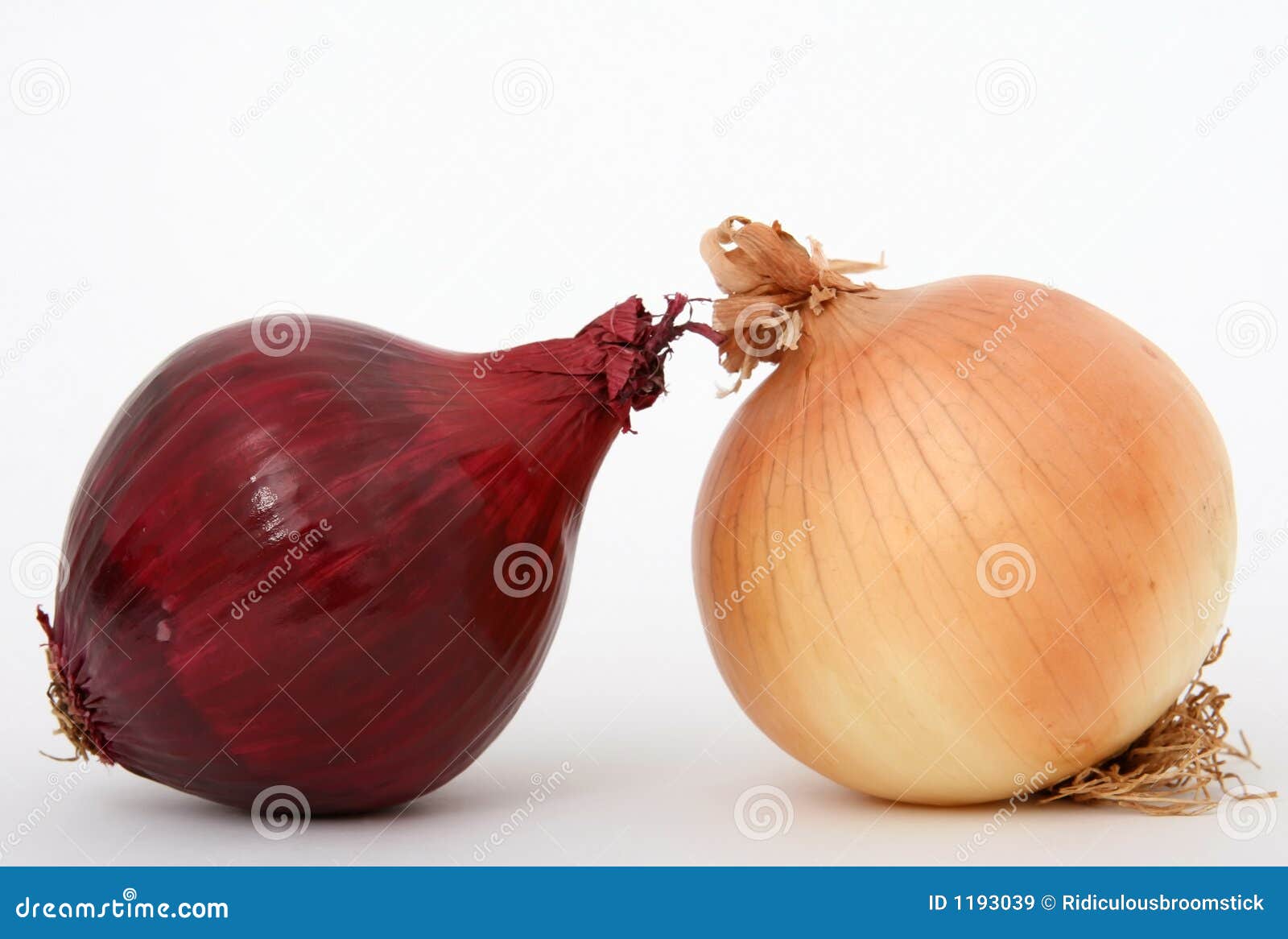 Onions stock image. Image of kitchen, cookery, colour - 1193039