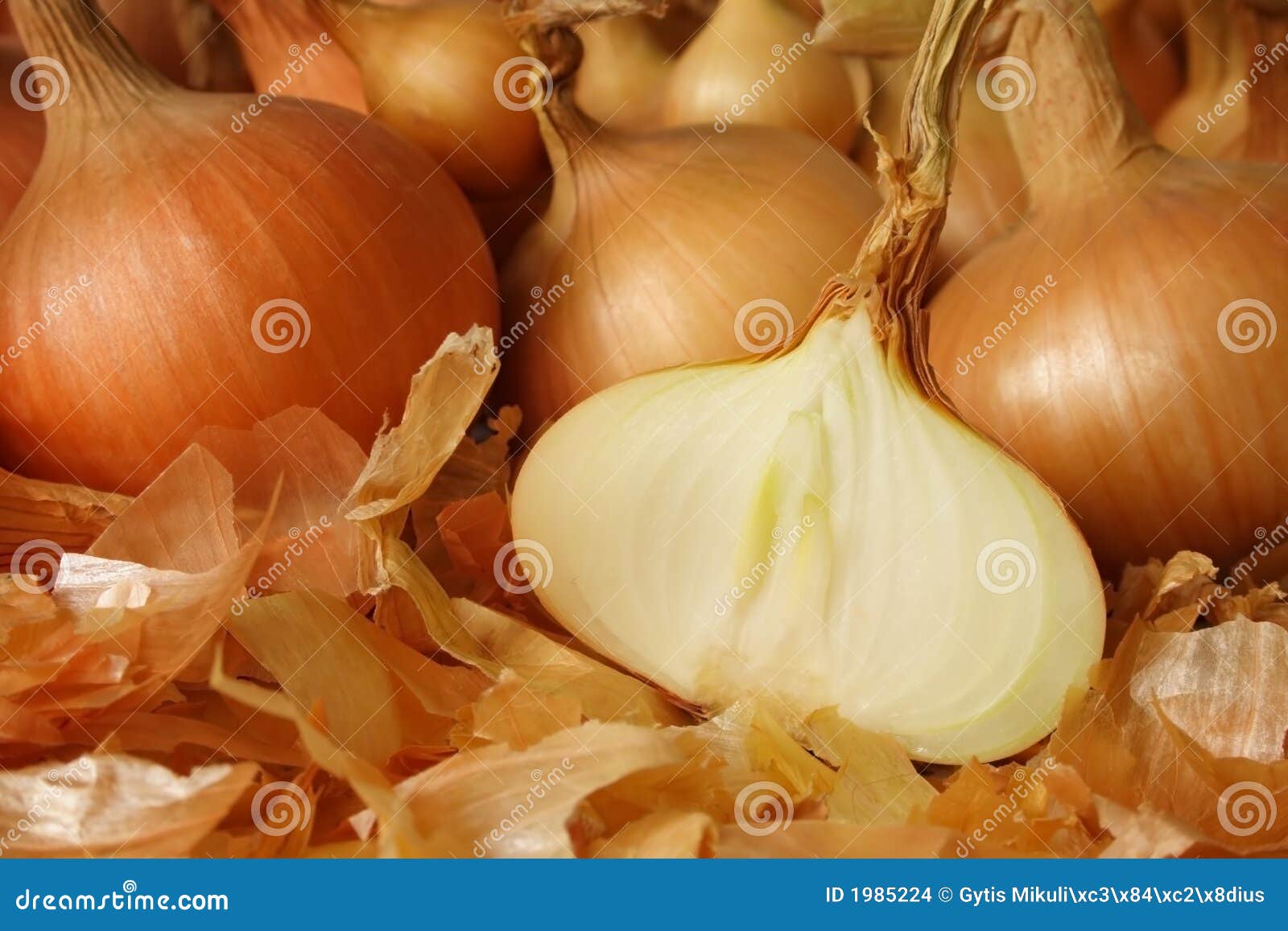 Onions stock photo. Image of food, ripe, bulk, shelling - 1985224