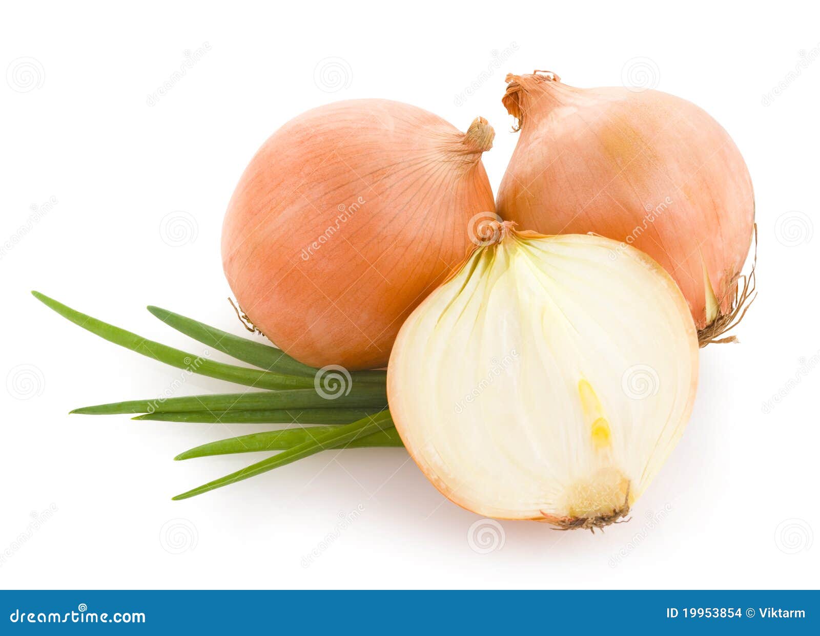 Onions stock photo. Image of fresh, onions, isolated - 19953854