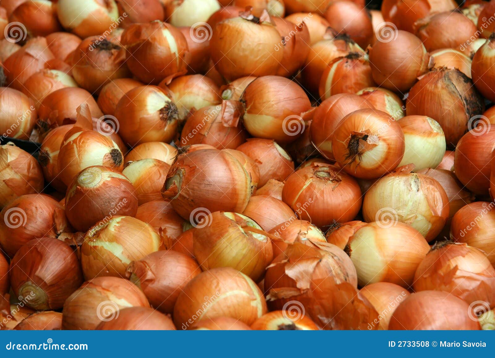 Onions stock photo. Image of grocer, market, health, marketplace - 2733508