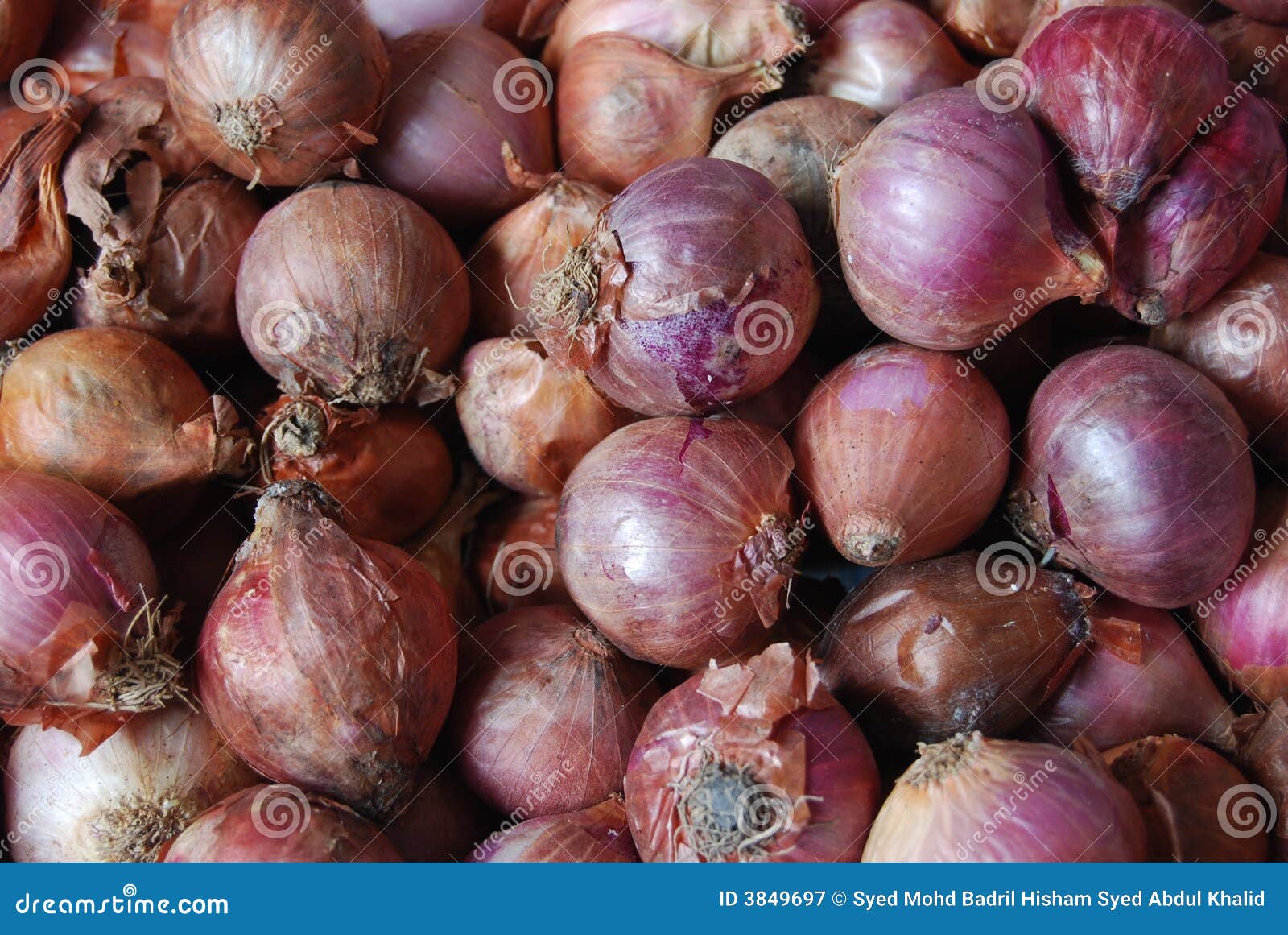 Onions stock image. Image of object, onions, vegetable - 3849697