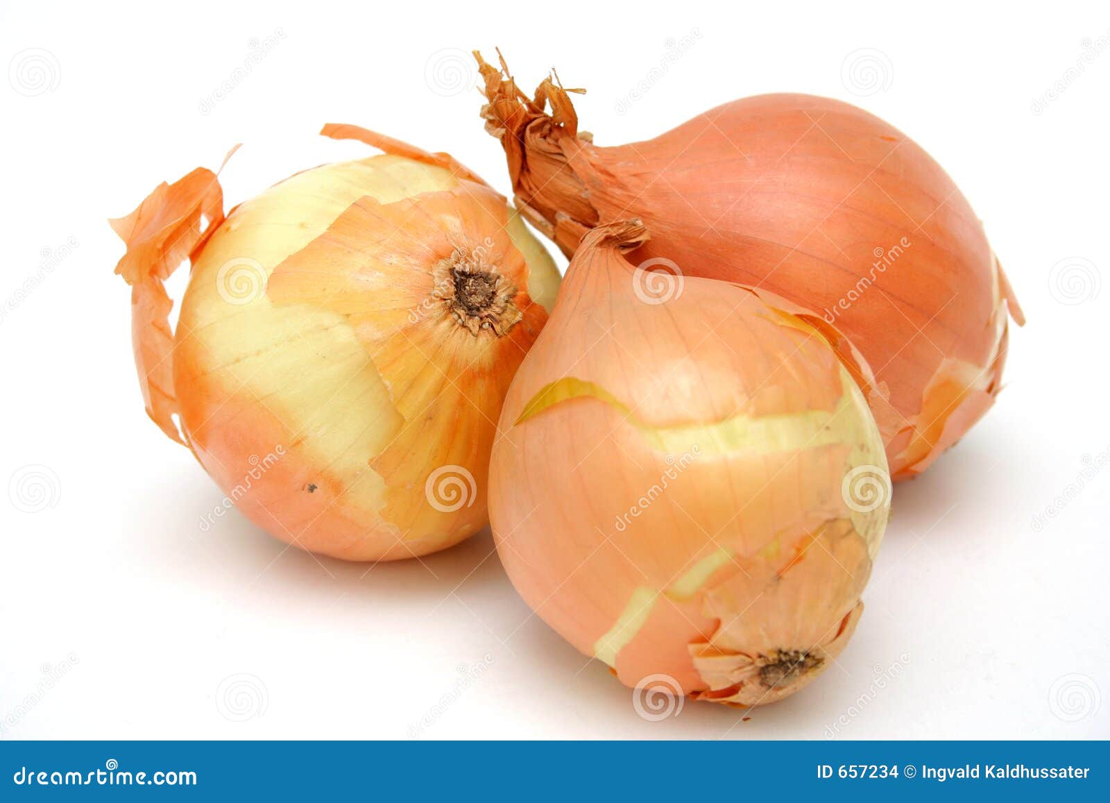 Onions stock photo. Image of flavor, fresh, plants, health - 657234