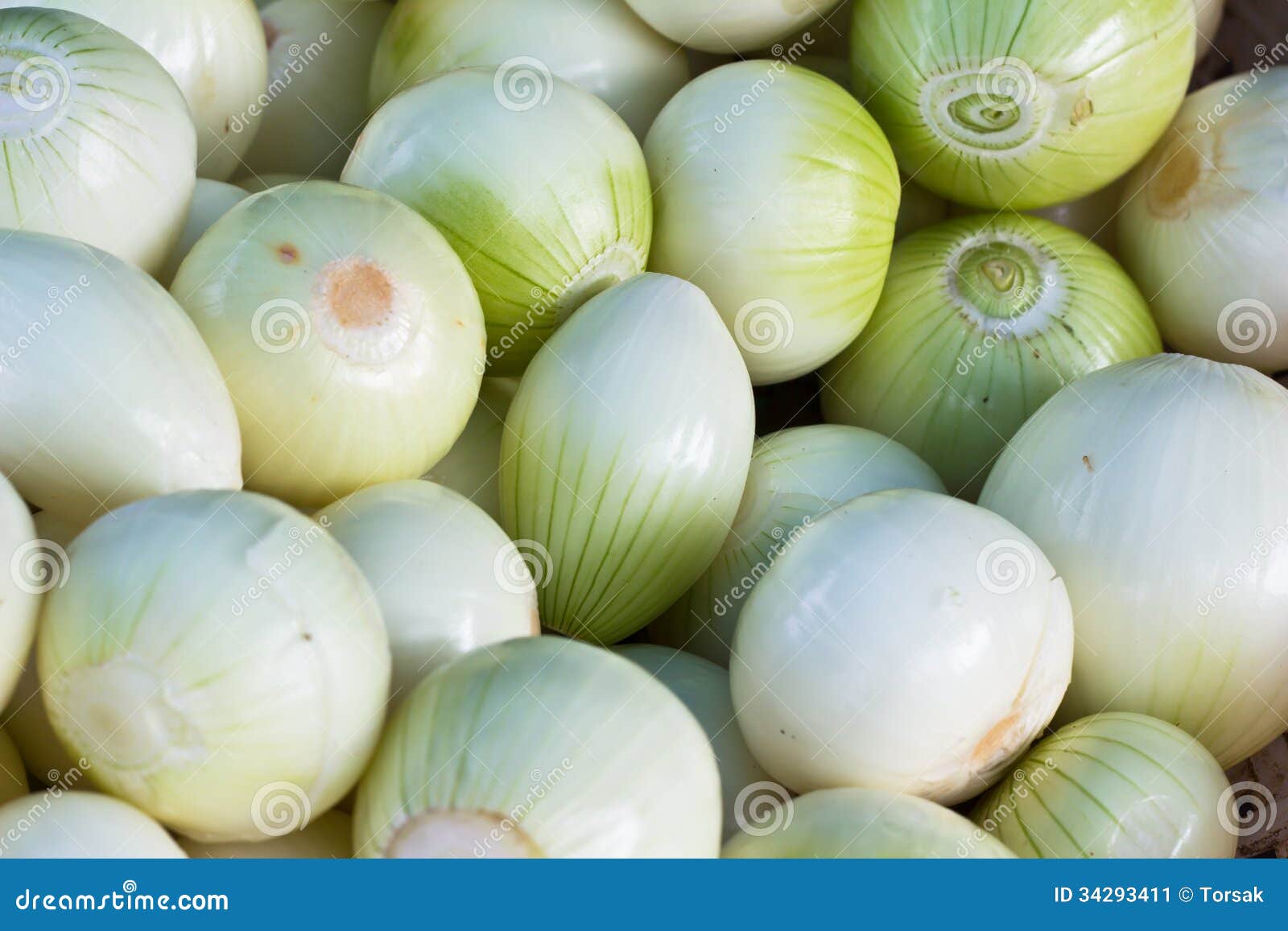 Onions in a box stock image. Image of gourmet, cook, health - 34293411