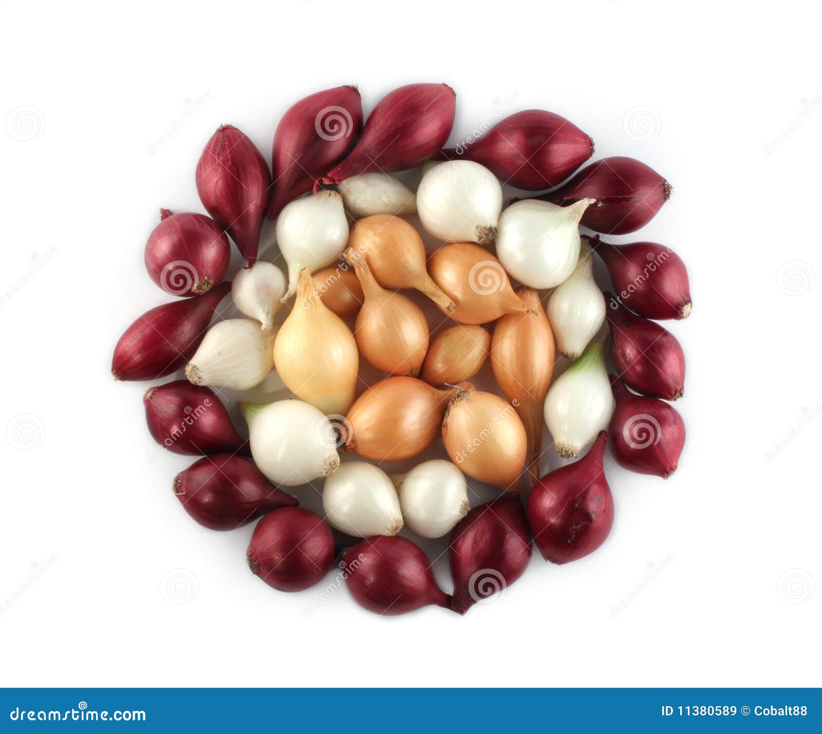 Onions Circle Compositionm Many Colors Stock Image - Image of fresh ...