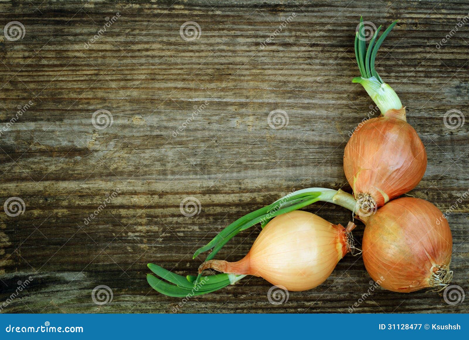 Onions in a Corner of Old Board Stock Image - Image of gourmet, corner ...