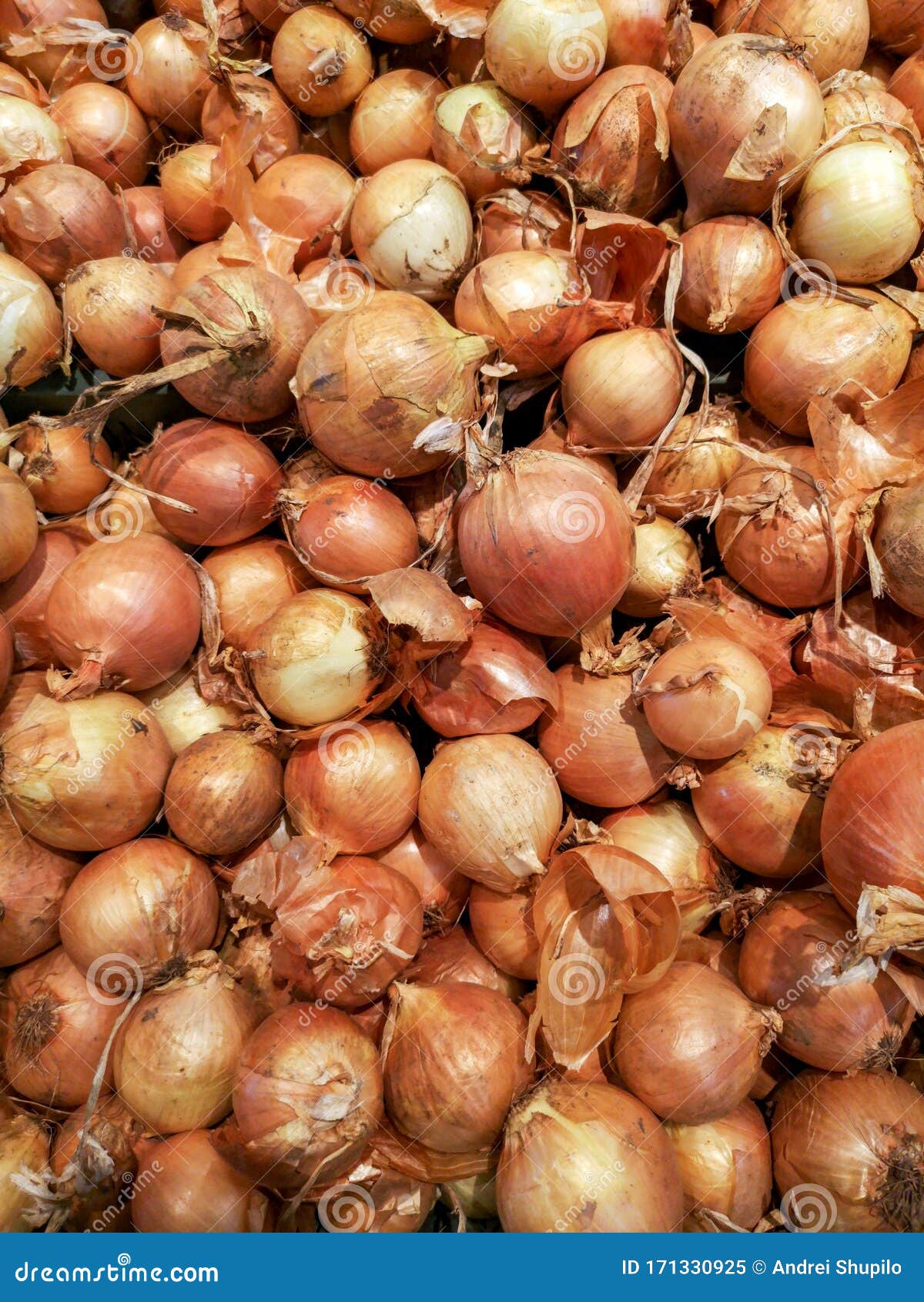 Onions on the Counter in the Store Stock Image - Image of agriculture ...