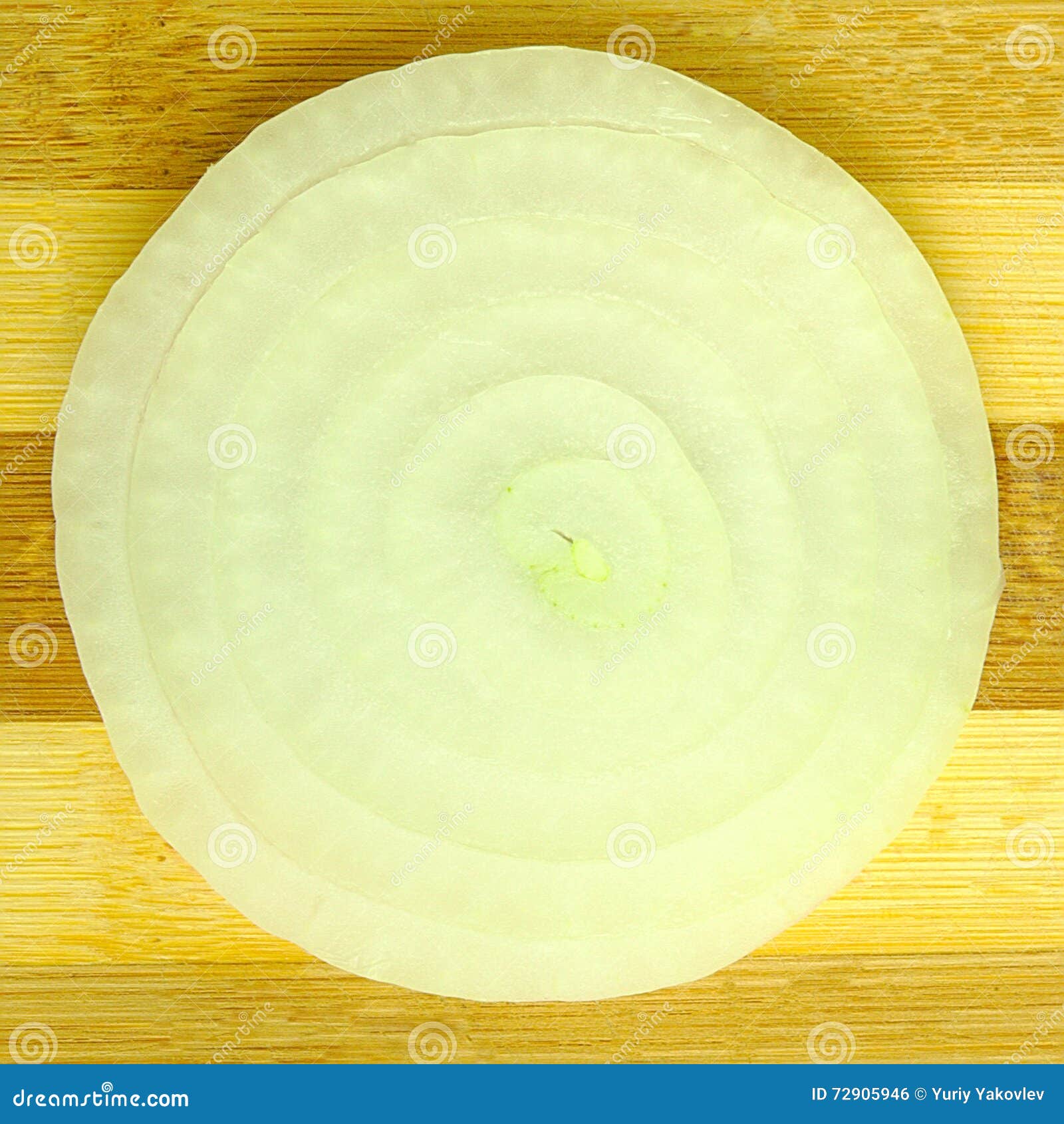 Onions, a Cross Section of a Vegetable Stock Photo - Image of vivid ...