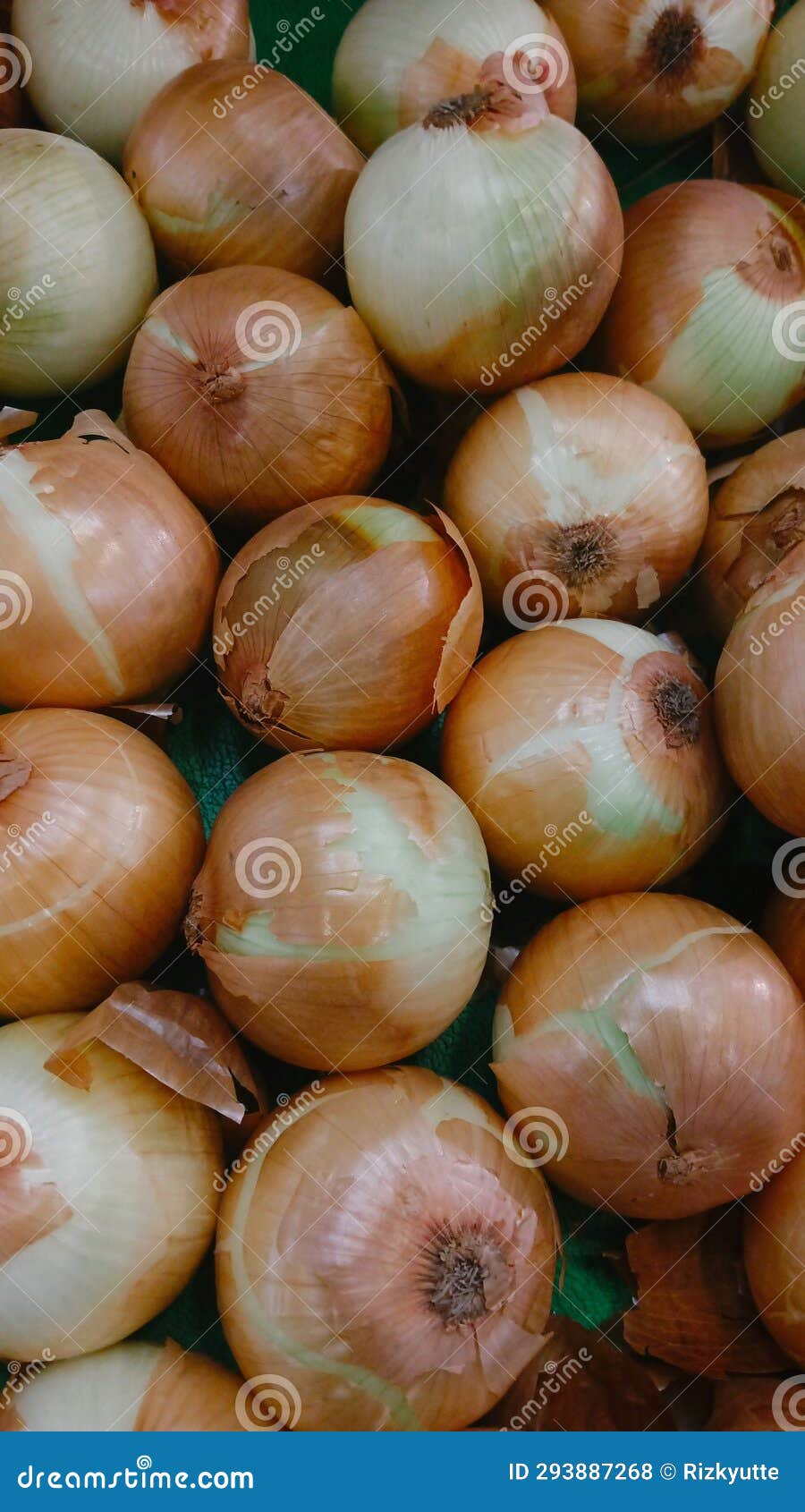 Onions on Display in a Supermarket Stock Photo - Image of onions, food ...