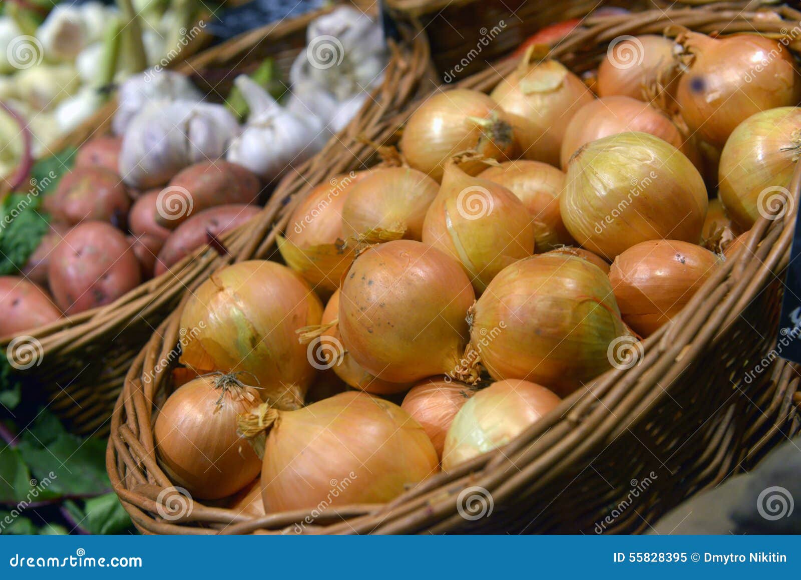 Onions on display stock image. Image of display, arrangement - 55828395