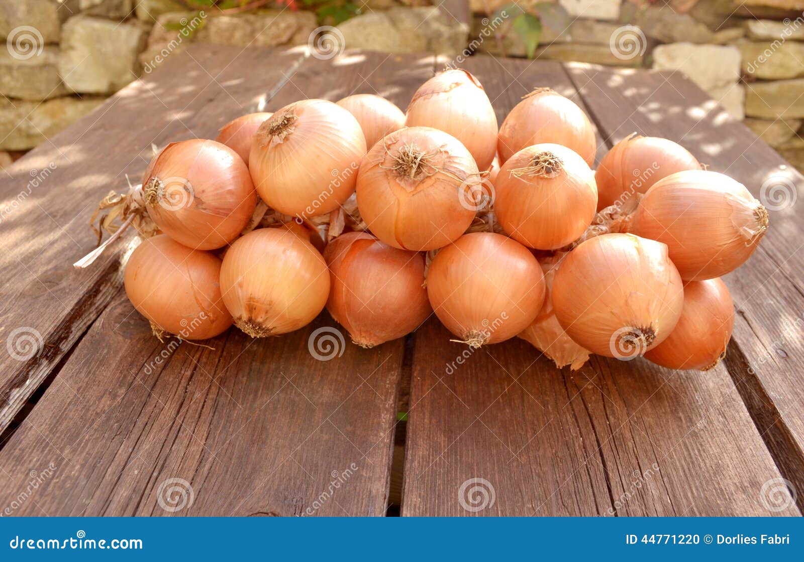 Onions stock photo. Image of healthy, ingredient, fresh - 44771220