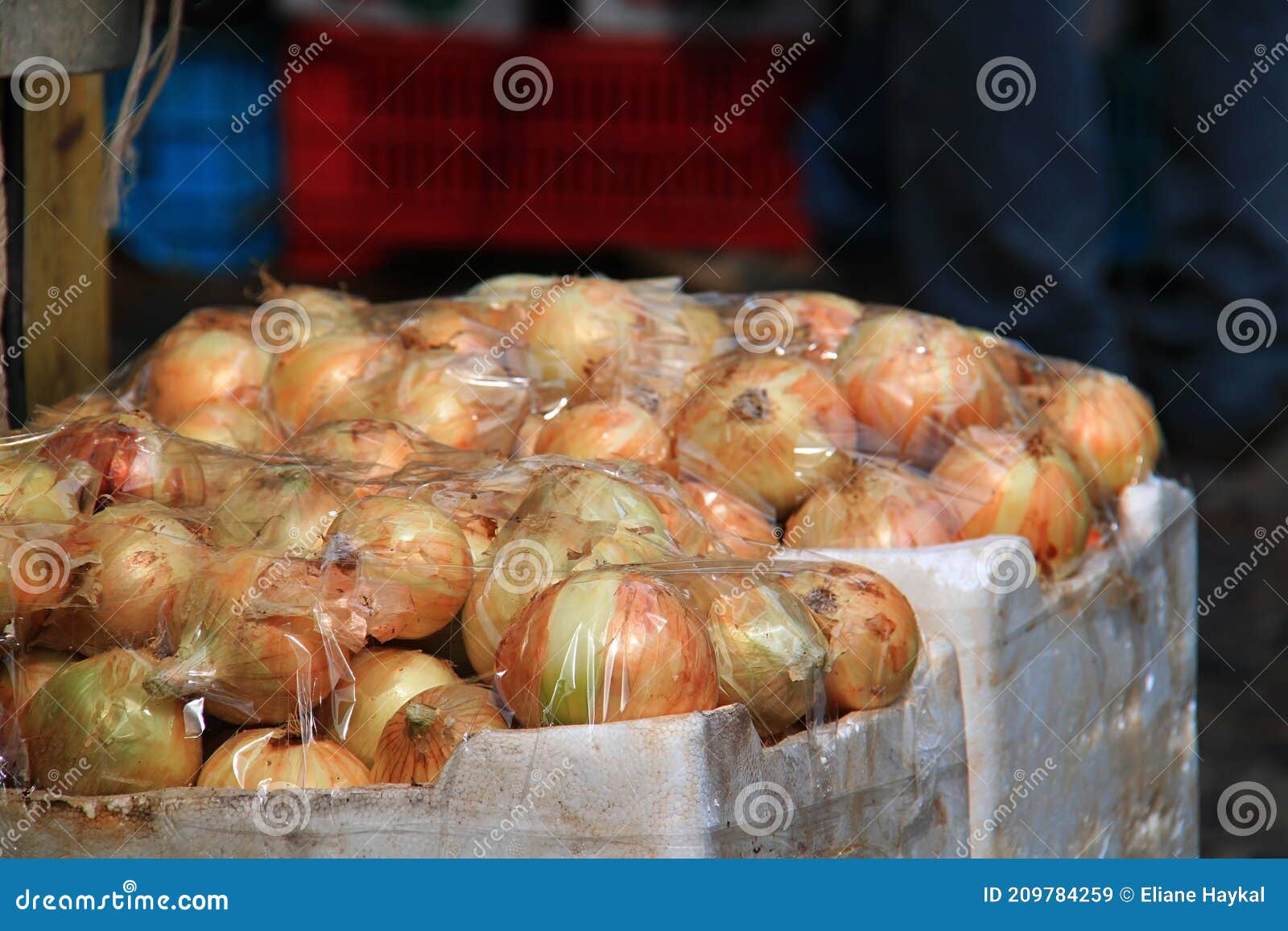 Onions in Grocery Store stock image. Image of farmer - 209784259