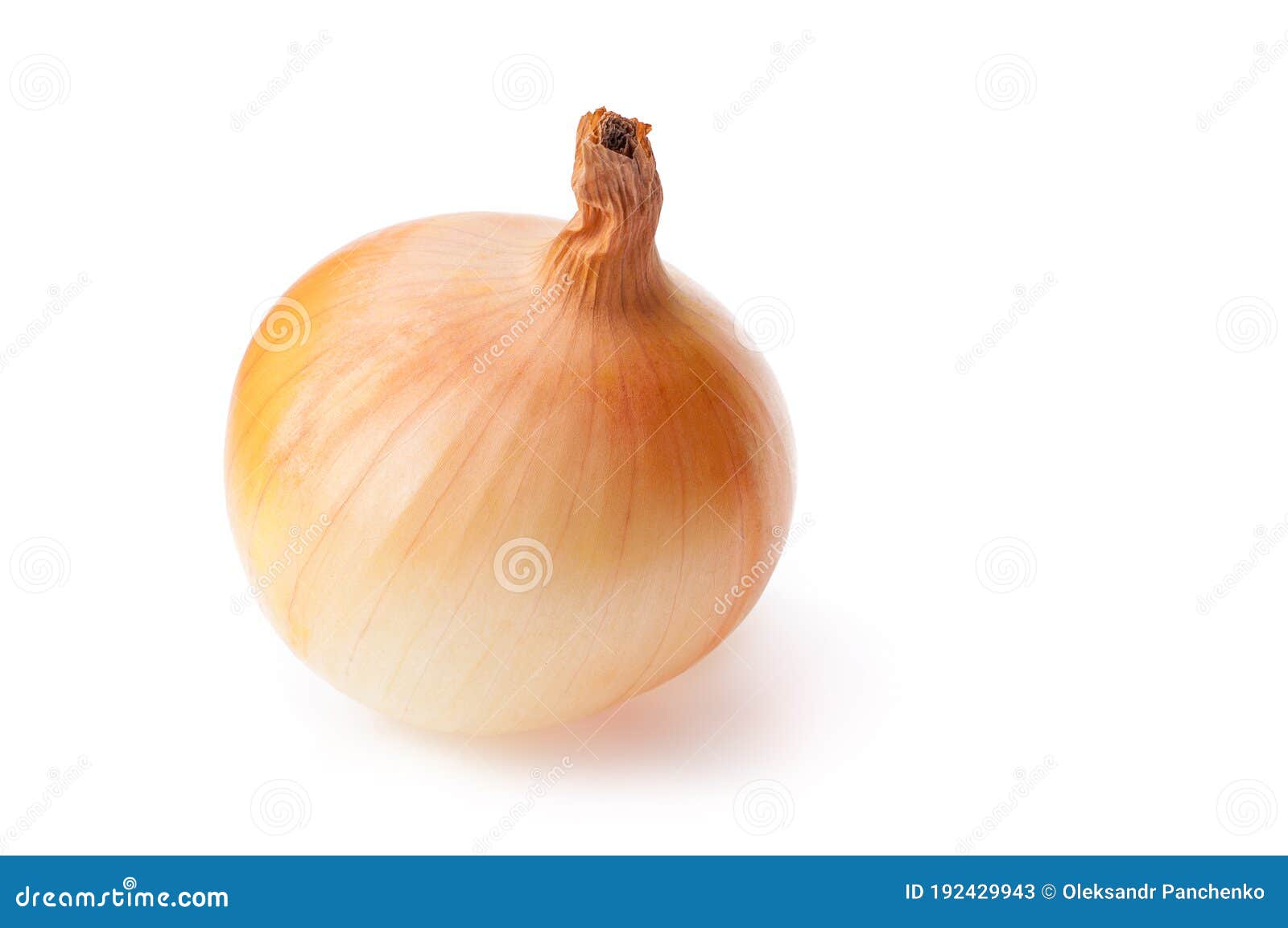 Onions Isolate on White Background Stock Image - Image of harvest, food ...