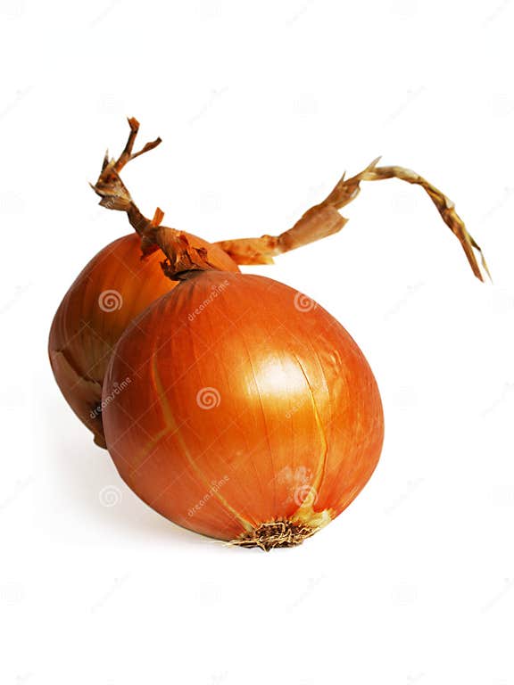 Onions Isolated on the White Stock Image - Image of foods, peel: 2176353