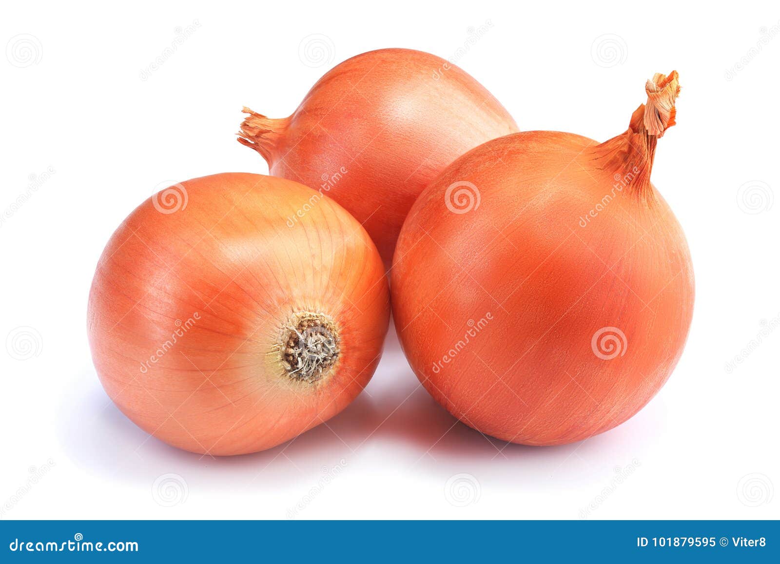Onions isolated on white stock image. Image of ingredient - 101879595
