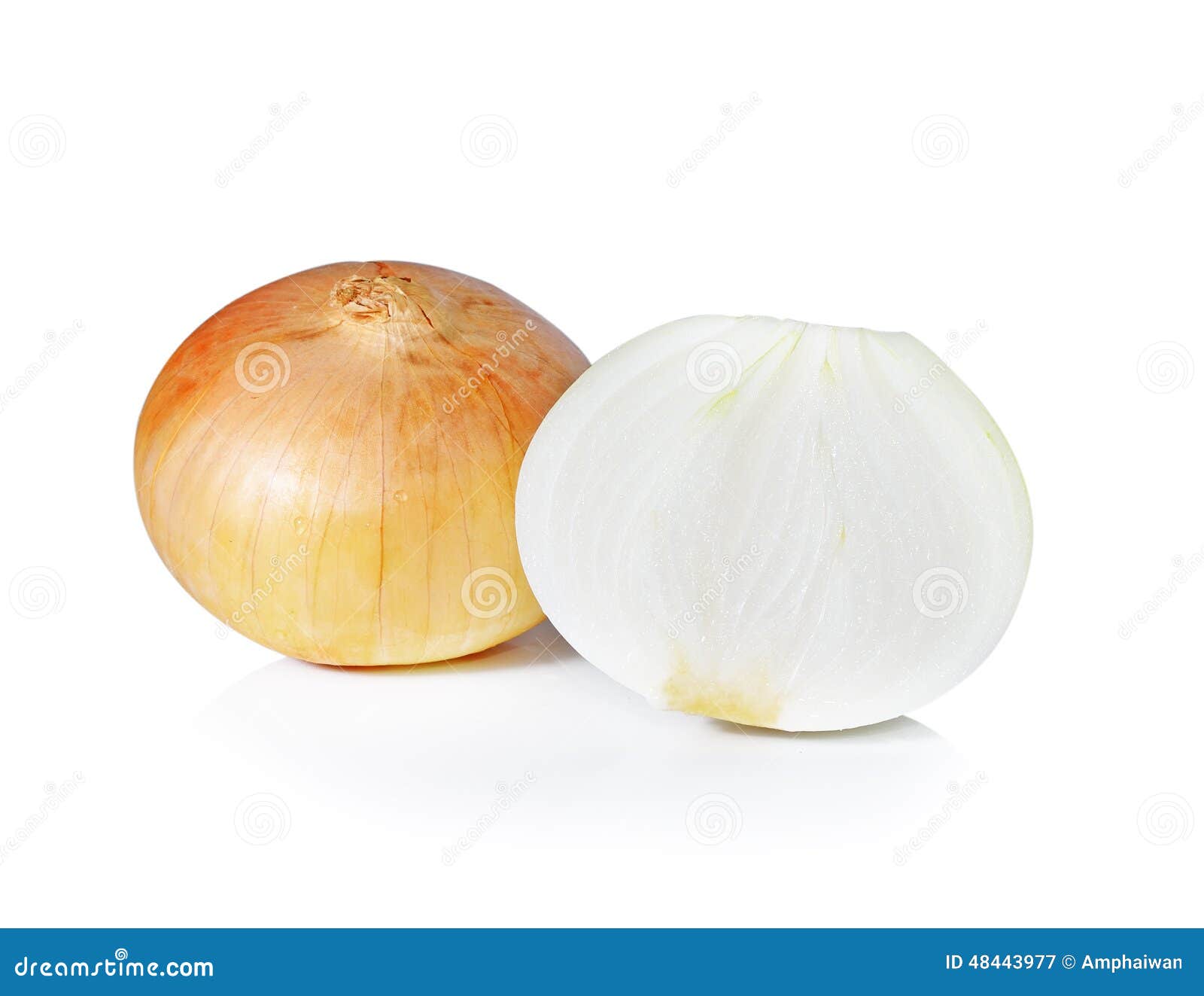 Onions isolated stock image. Image of heap, organic, parsley - 48443977
